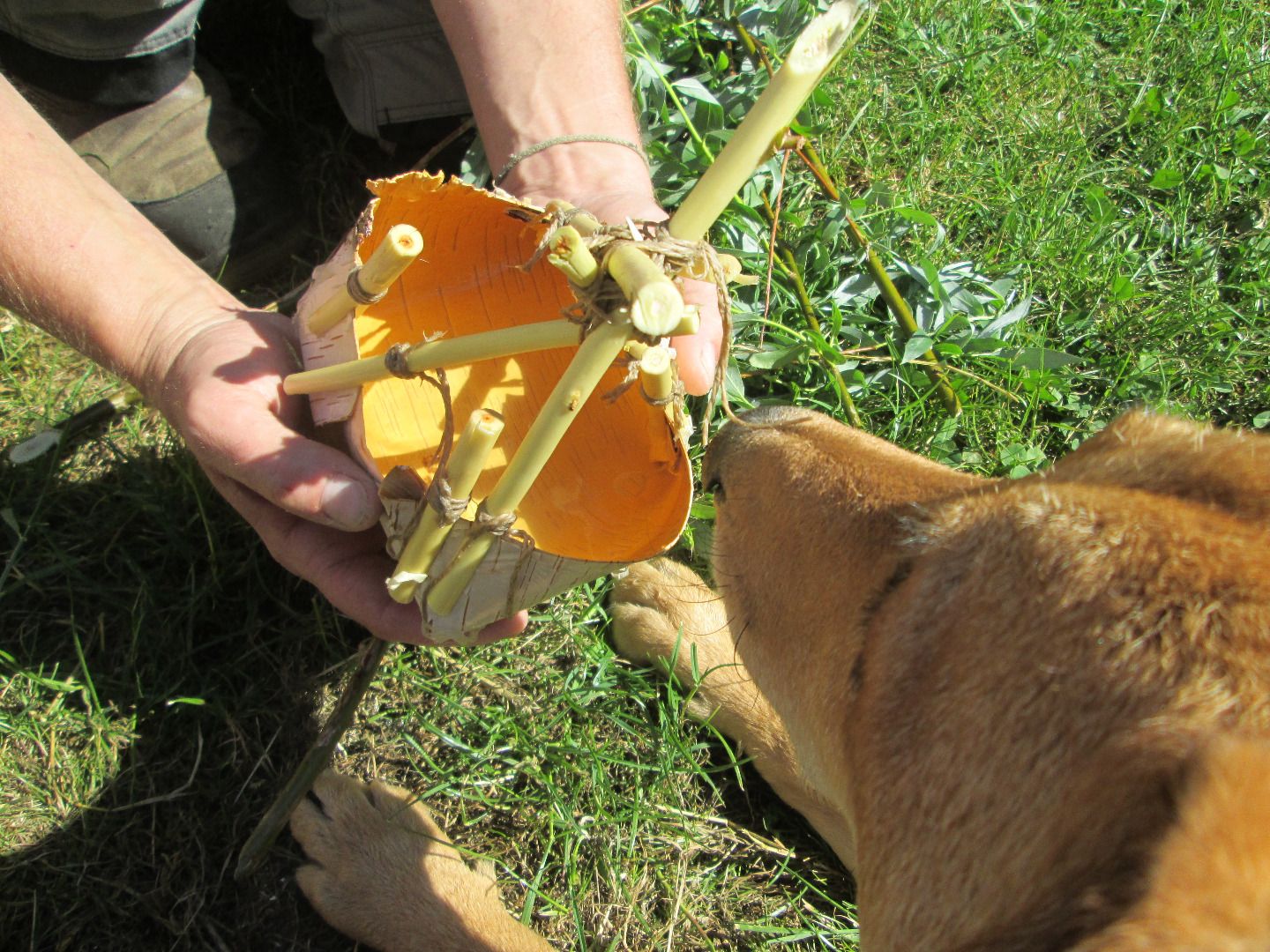 Survive in Style (1) - Softboiled Eggs : 6 Steps (with Pictures) - Instructables