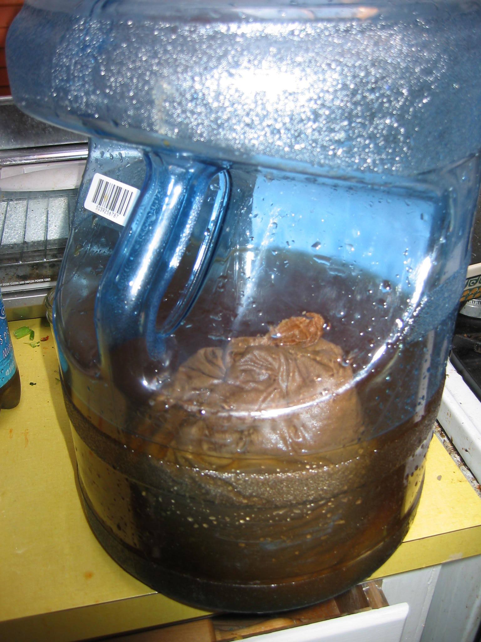 How to Make a Big Batch of Kombucha : 17 Steps (with Pictures ...