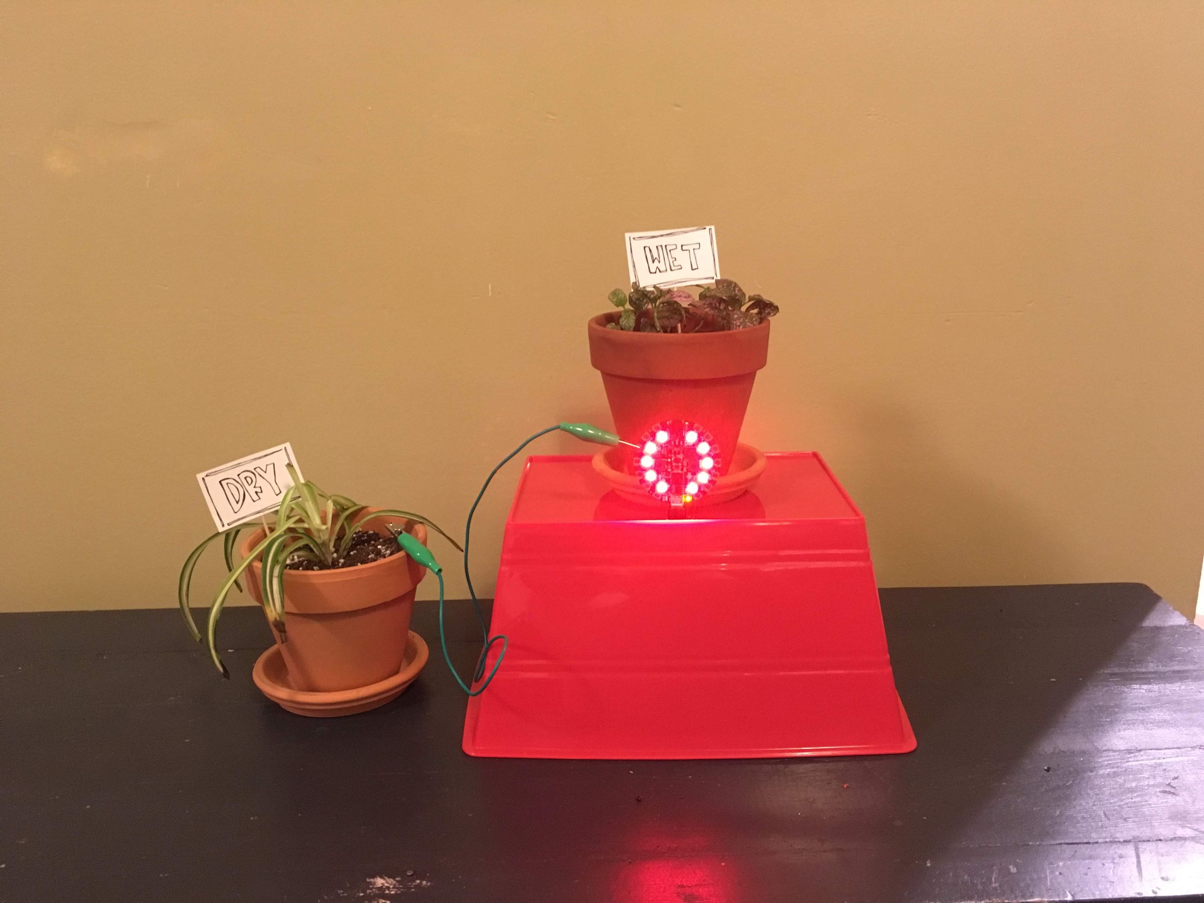 Soil Moisture Detecting Pot for House Plants : 5 Steps - Instructables