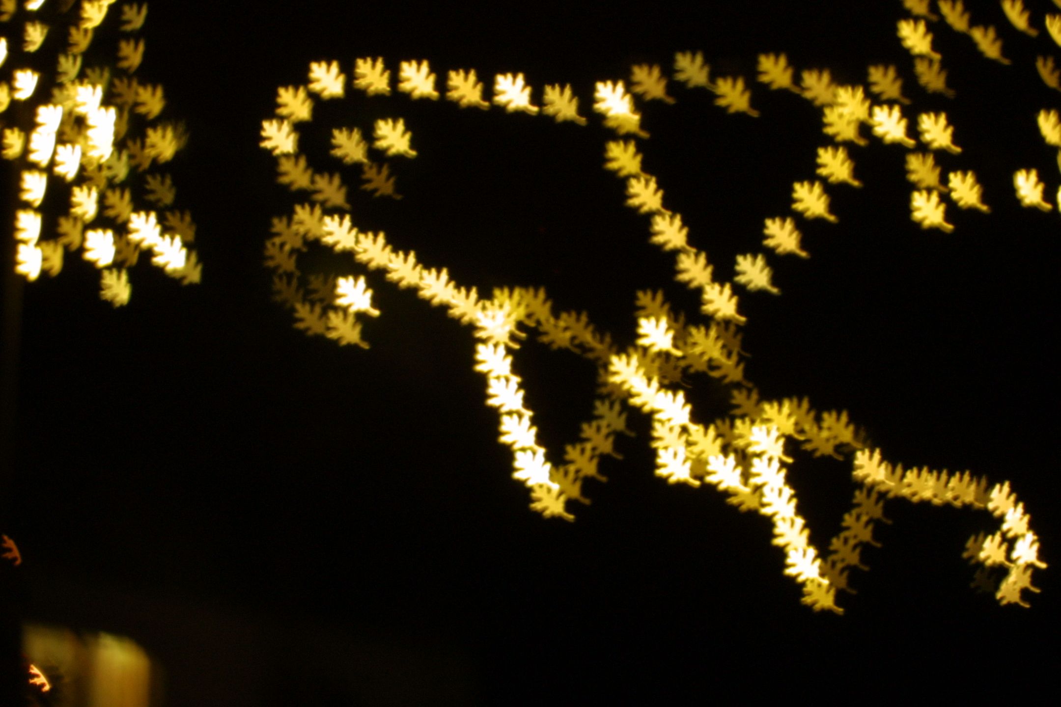 Bokeh for the Holidays : 4 Steps - Instructables