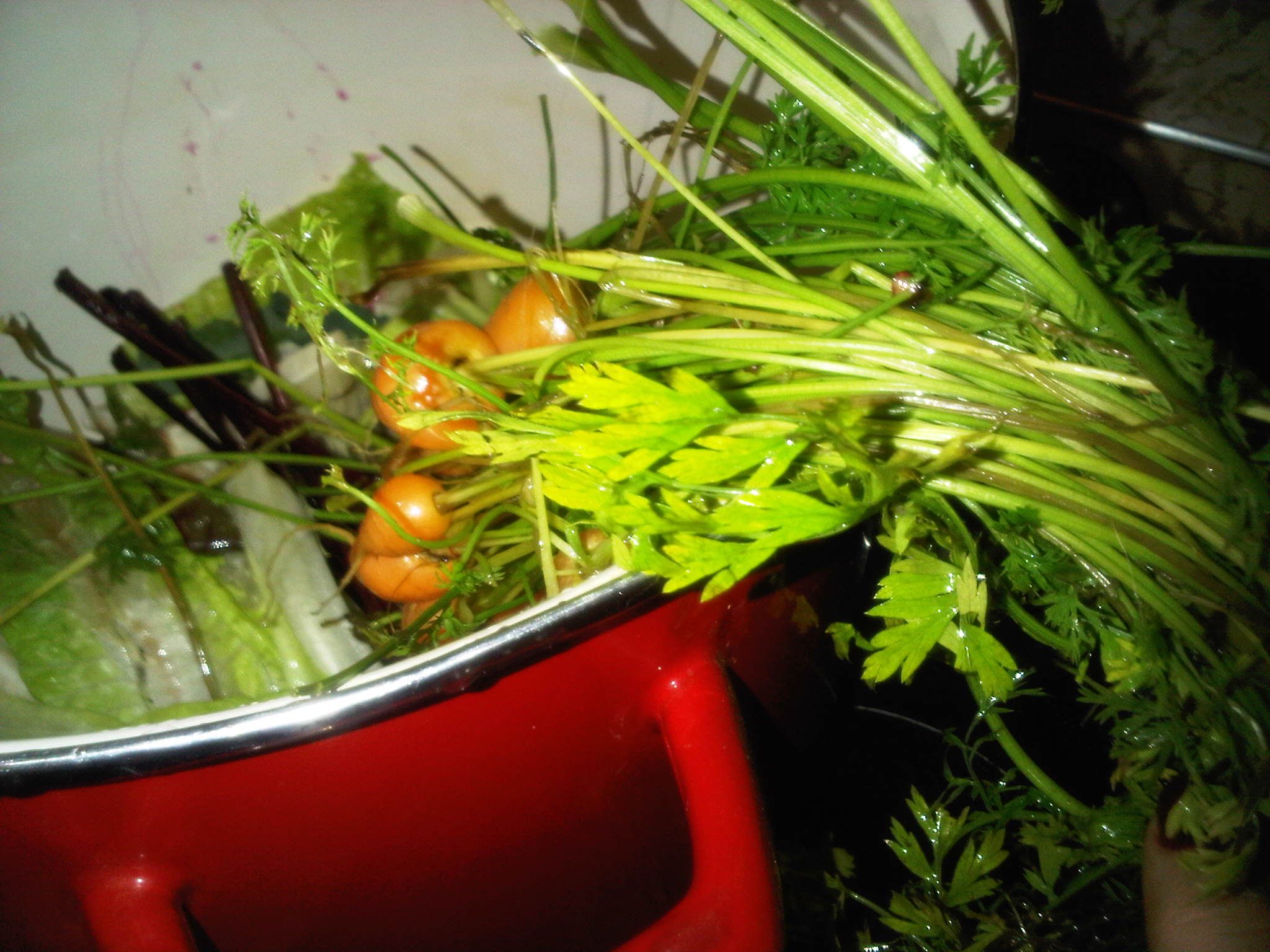 Making Vegetable Scrap Stock : 3 Steps - Instructables