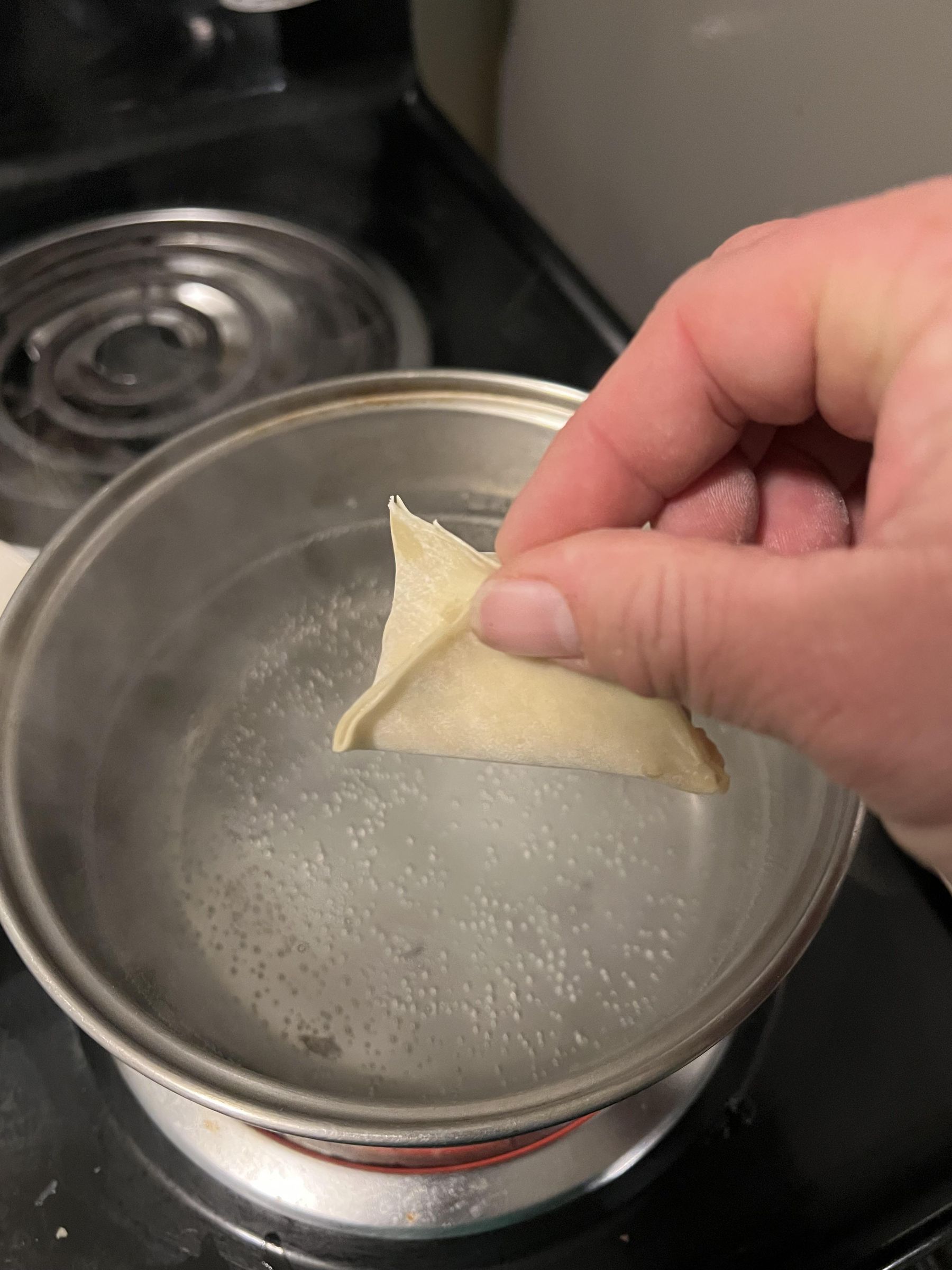 How to Make Steamed Dumplings and Egg Rolls : 9 Steps - Instructables