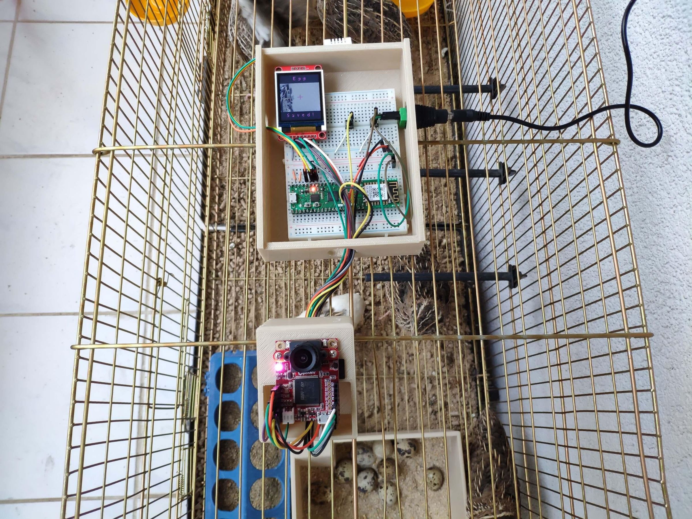 IoT AI-driven Poultry Feeder and Unhatched Egg Tracker W/ WhatsApp : 20 ...