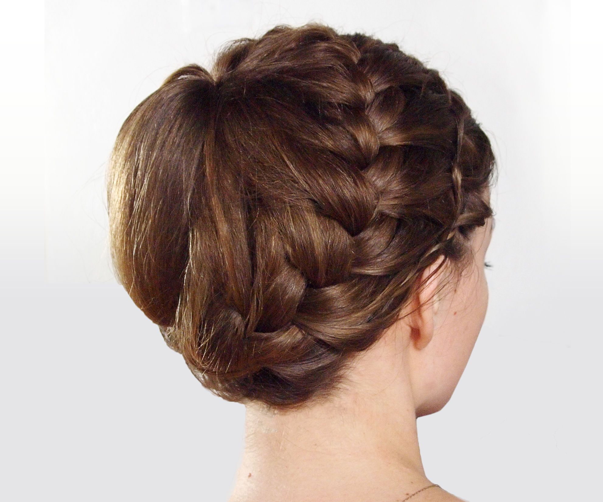 Double-Braided Updo Hairstyle : 3 Steps (with Pictures) - Instructables
