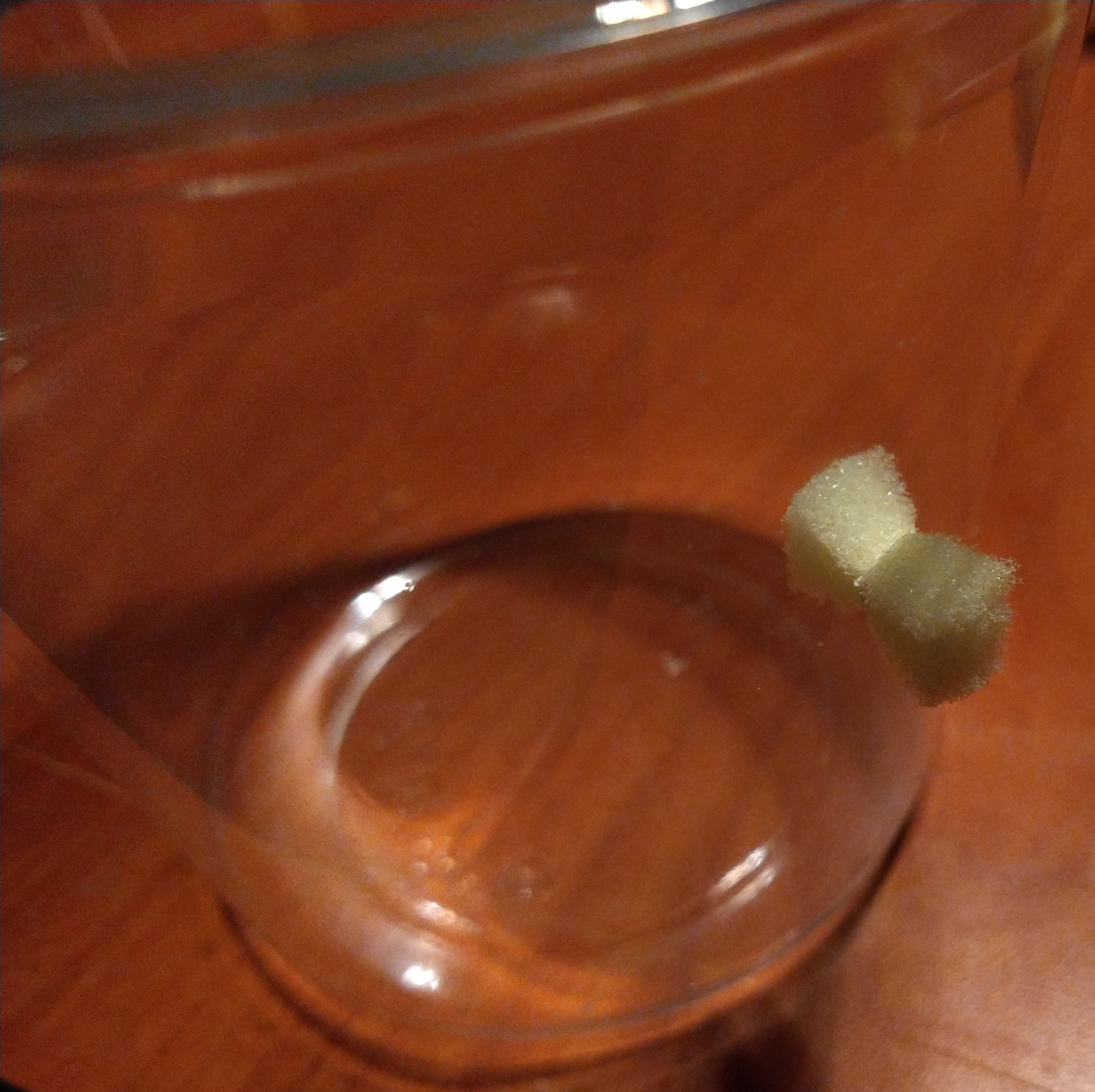 Perfect Praying Mantis Cups : 9 Steps (with Pictures) - Instructables