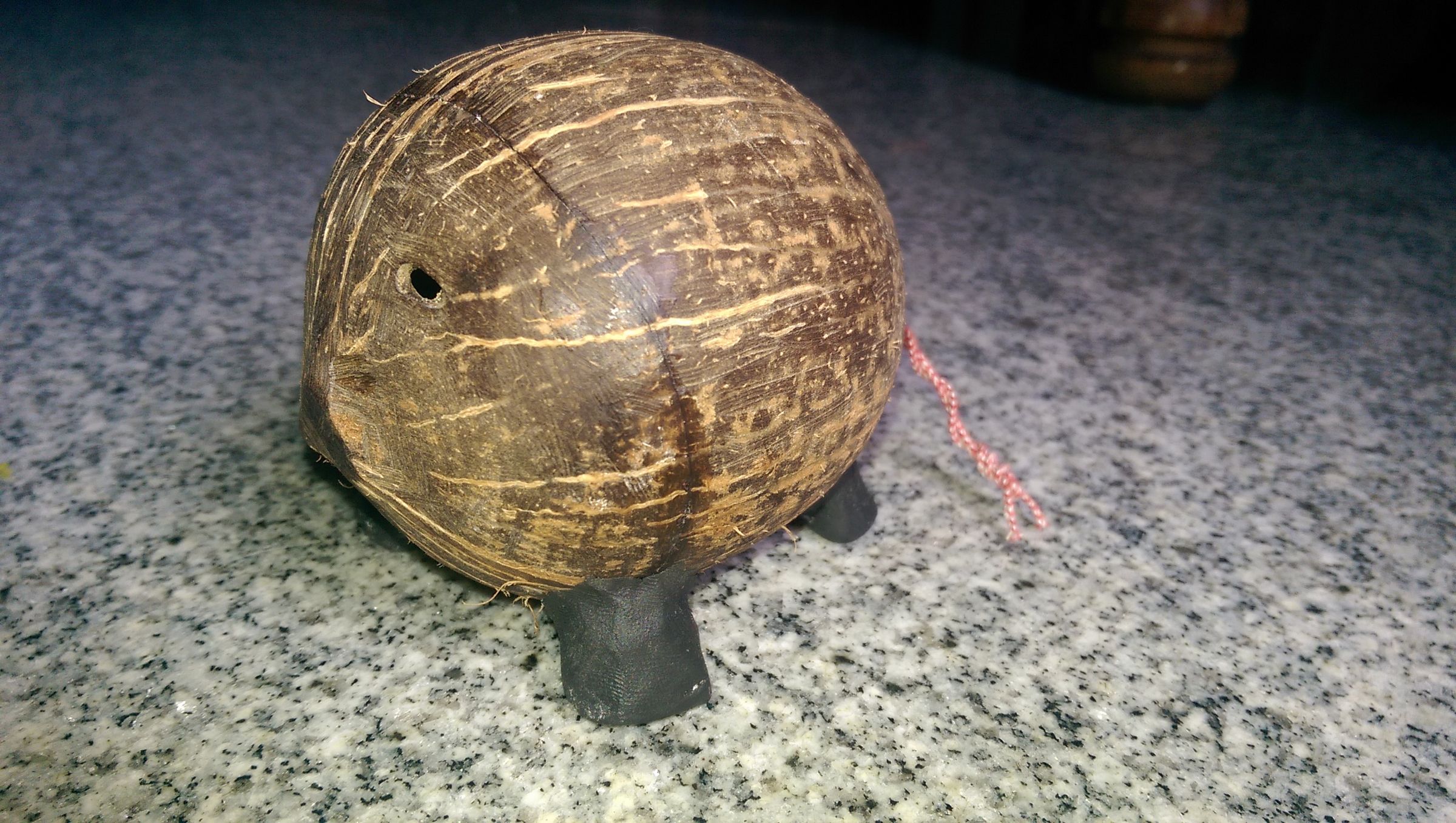 Coconut Piggy Bank : 9 Steps - Instructables