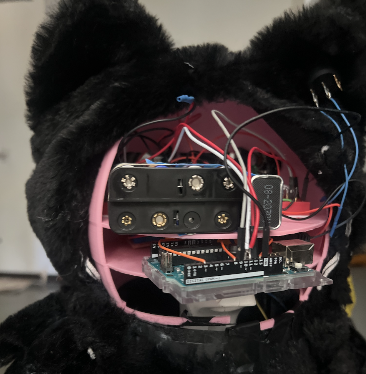 The Catinator : 4 Steps - Instructables