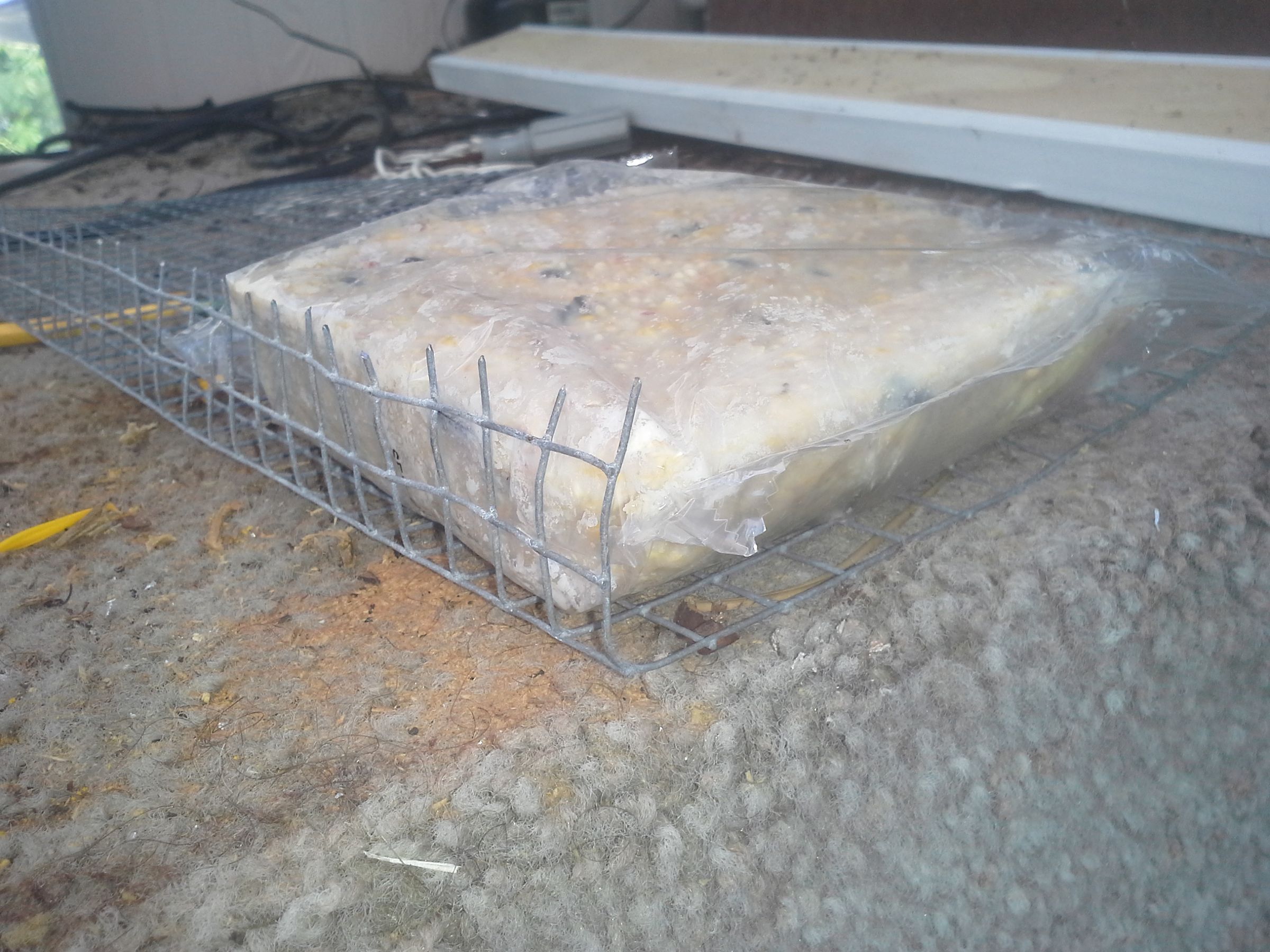 Suet Cage From Scrap Mesh and Wire. : 8 Steps - Instructables