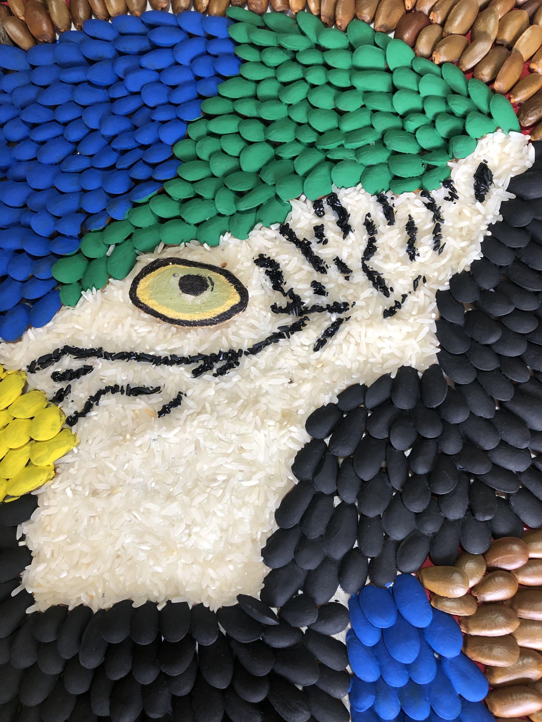 Macaw With Soursop Seeds, Rice and Mango. : 12 Steps (with Pictures ...