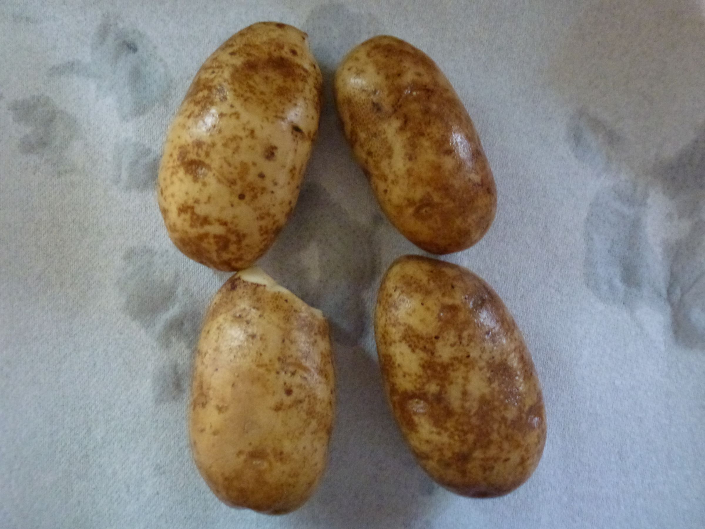 Campfire (or Oven) Potatoes- Cubed Potatoes in a Bath of Butter, Salt ...
