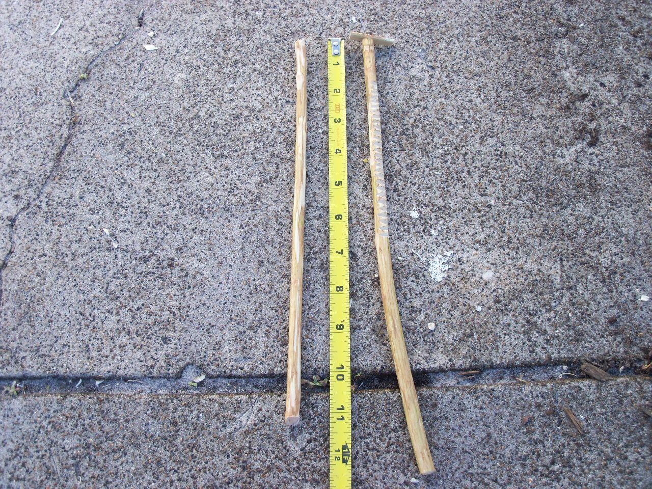 I Have a Whammy Diddle in My Pocket - How to Make a Gee-haw Stick Toy ...