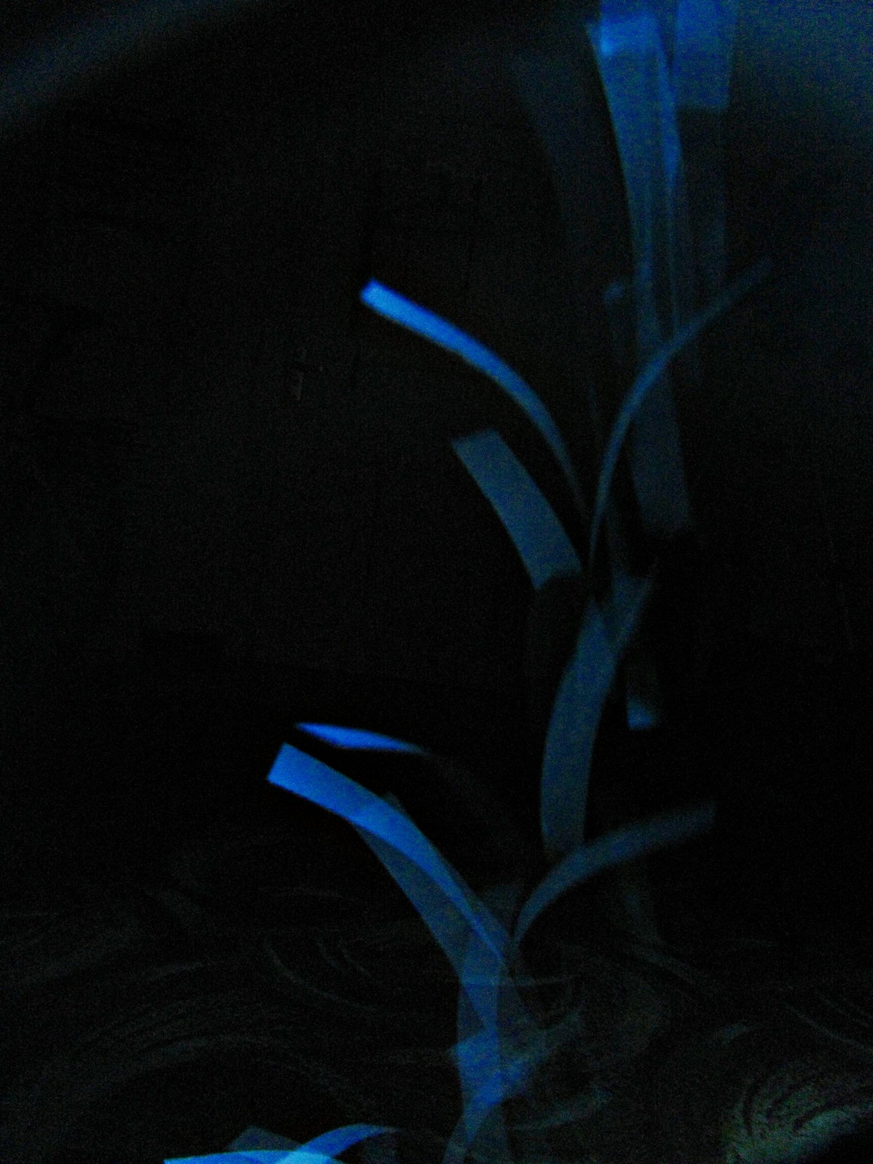 Build a Mechanical Camera Stroboscope / Strobe - Instructables