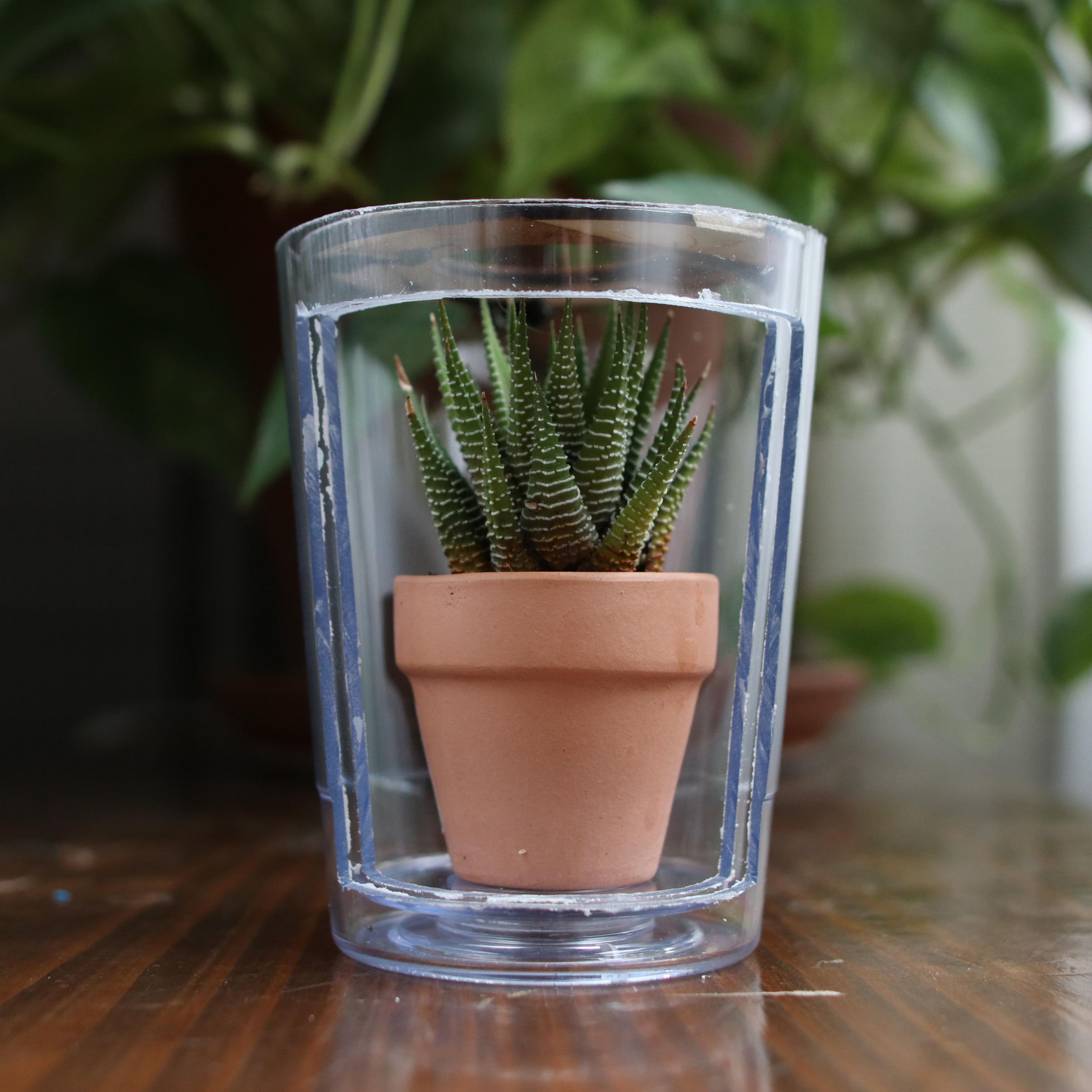 Plant Watering Cup : 9 Steps (with Pictures) - Instructables