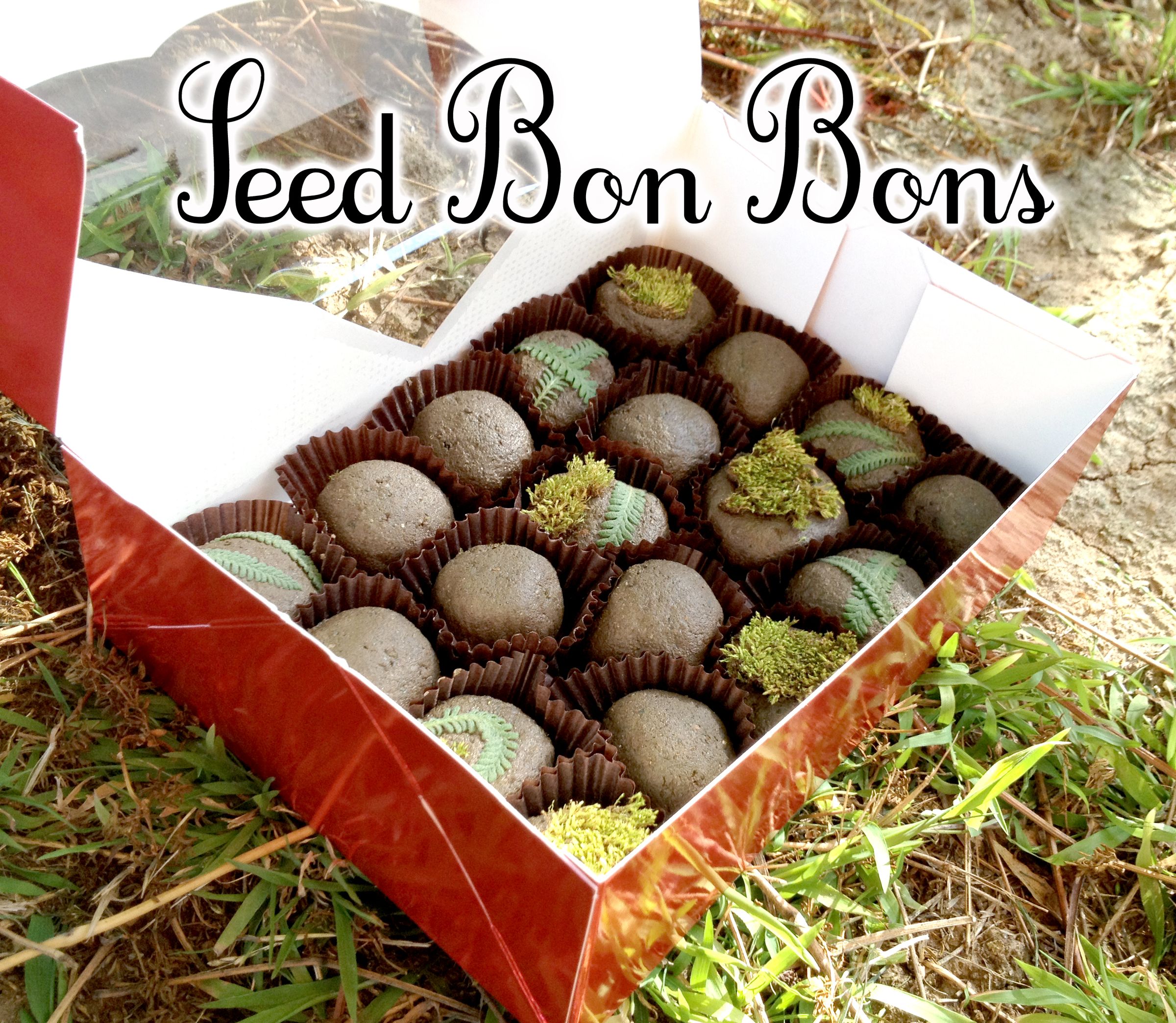 Seed Bon Bons : 6 Steps (with Pictures) - Instructables