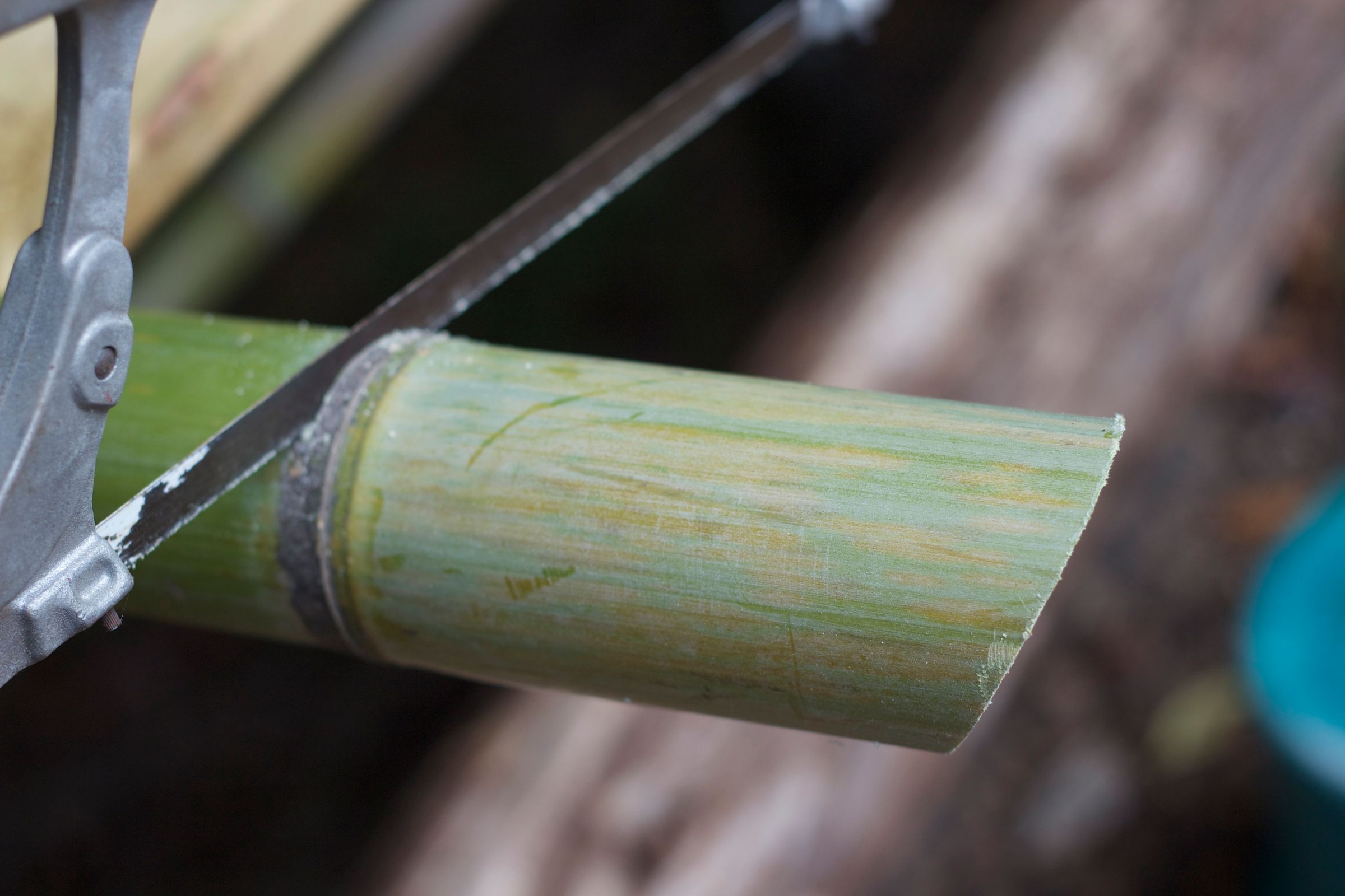 Clean, Chic Bamboo Cups : 6 Steps (with Pictures) - Instructables