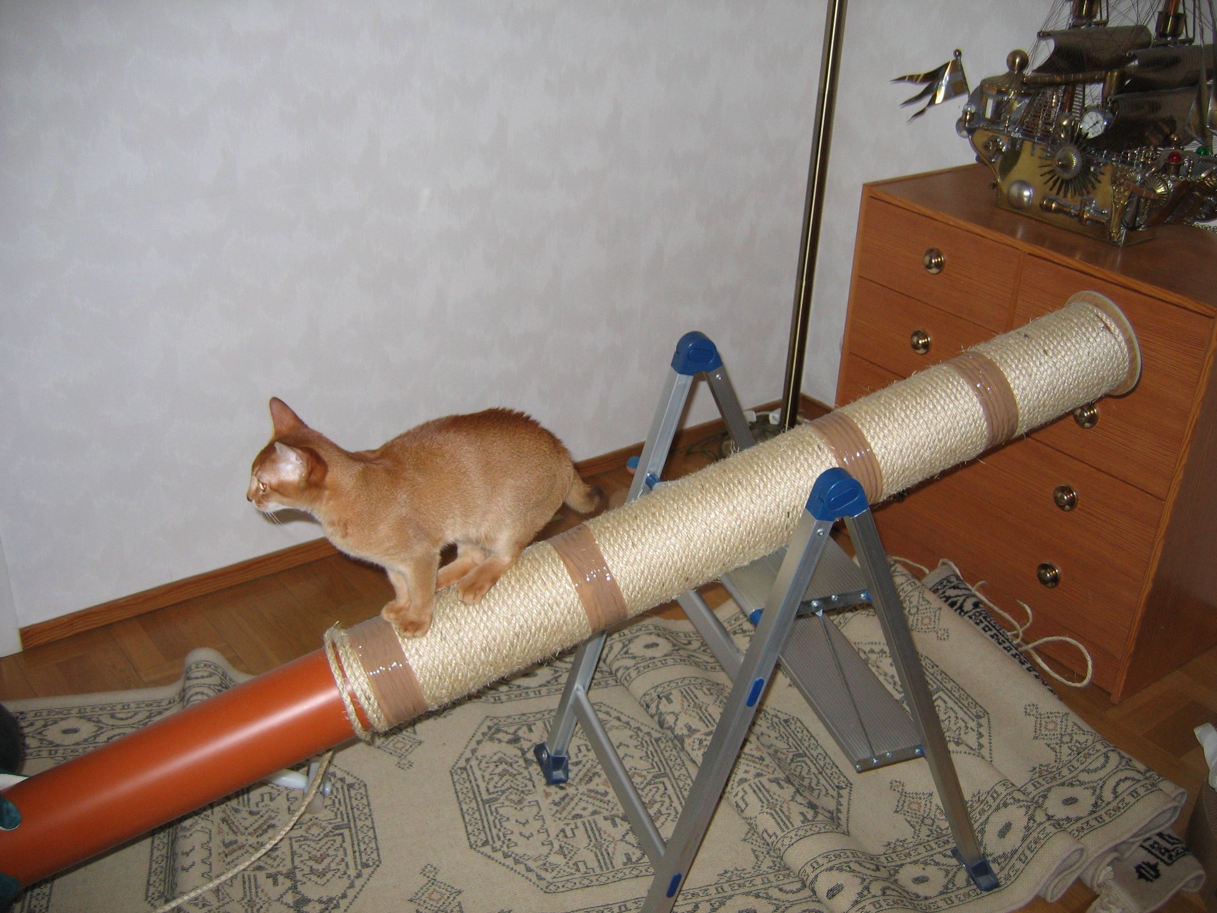 Full Size Cat Scratching / Climbing Post : 7 Steps - Instructables