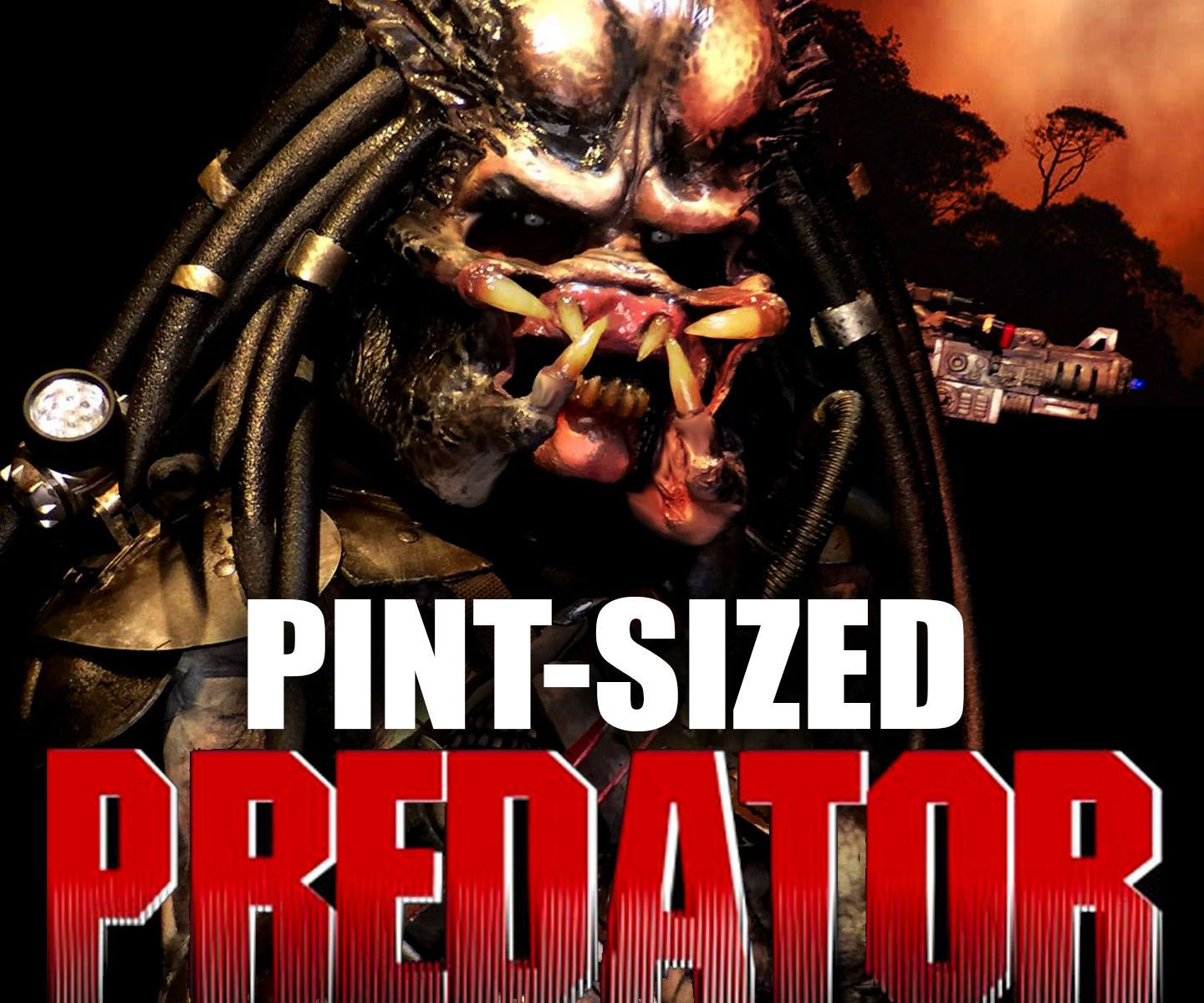 Pint-Sized Predator : 6 Steps (with Pictures) - Instructables
