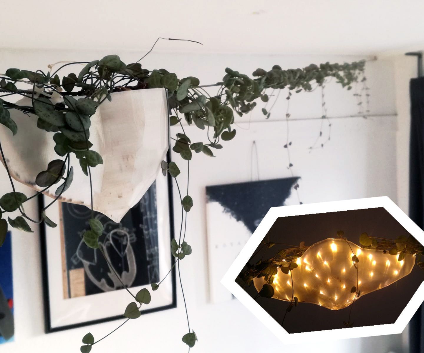 LED Lit Suspended Planter : 6 Steps (with Pictures) - Instructables