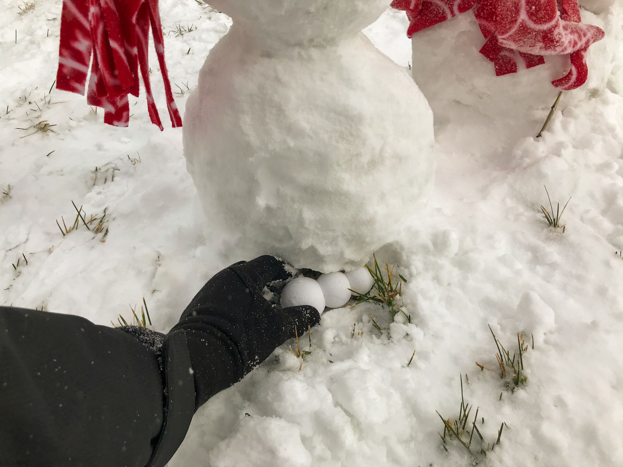 Snowman Poop Prank : 5 Steps (with Pictures) - Instructables