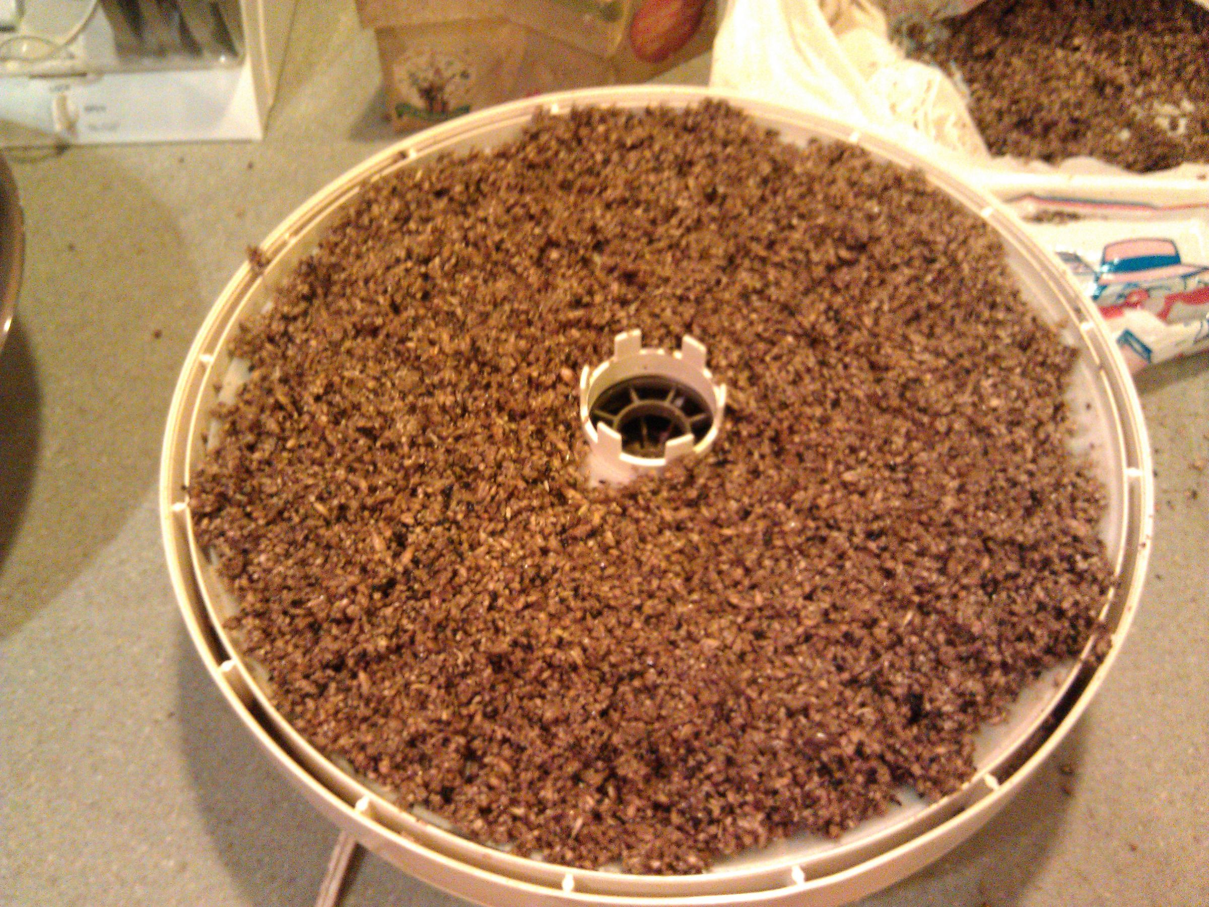 How to Use Spent Beer Grains for Baking : 6 Steps - Instructables