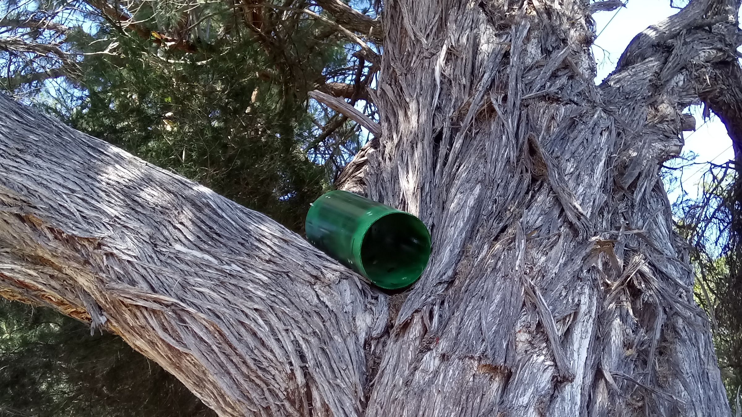 Helpful Possum Box : 4 Steps (with Pictures) - Instructables