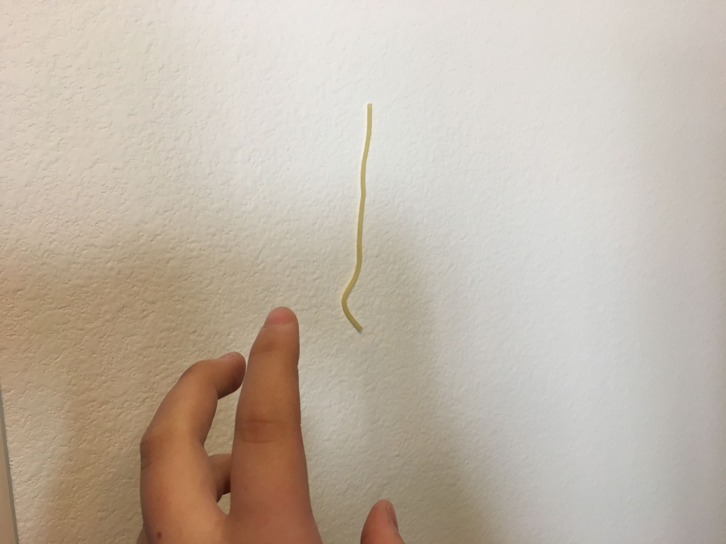 How to Make Spaghetti : 16 Steps - Instructables