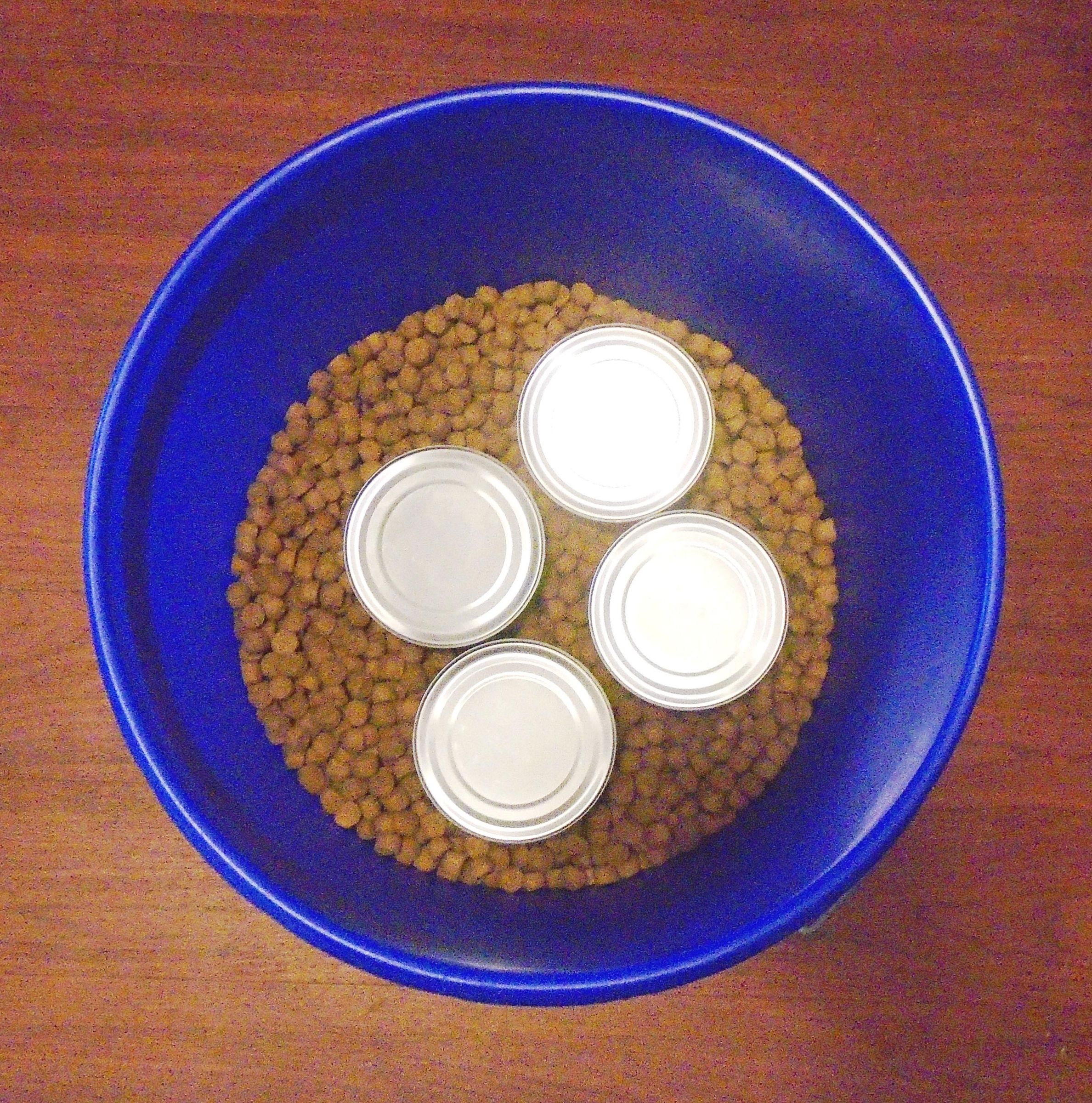 Traveling Pet Bucket : 6 Steps (with Pictures) - Instructables