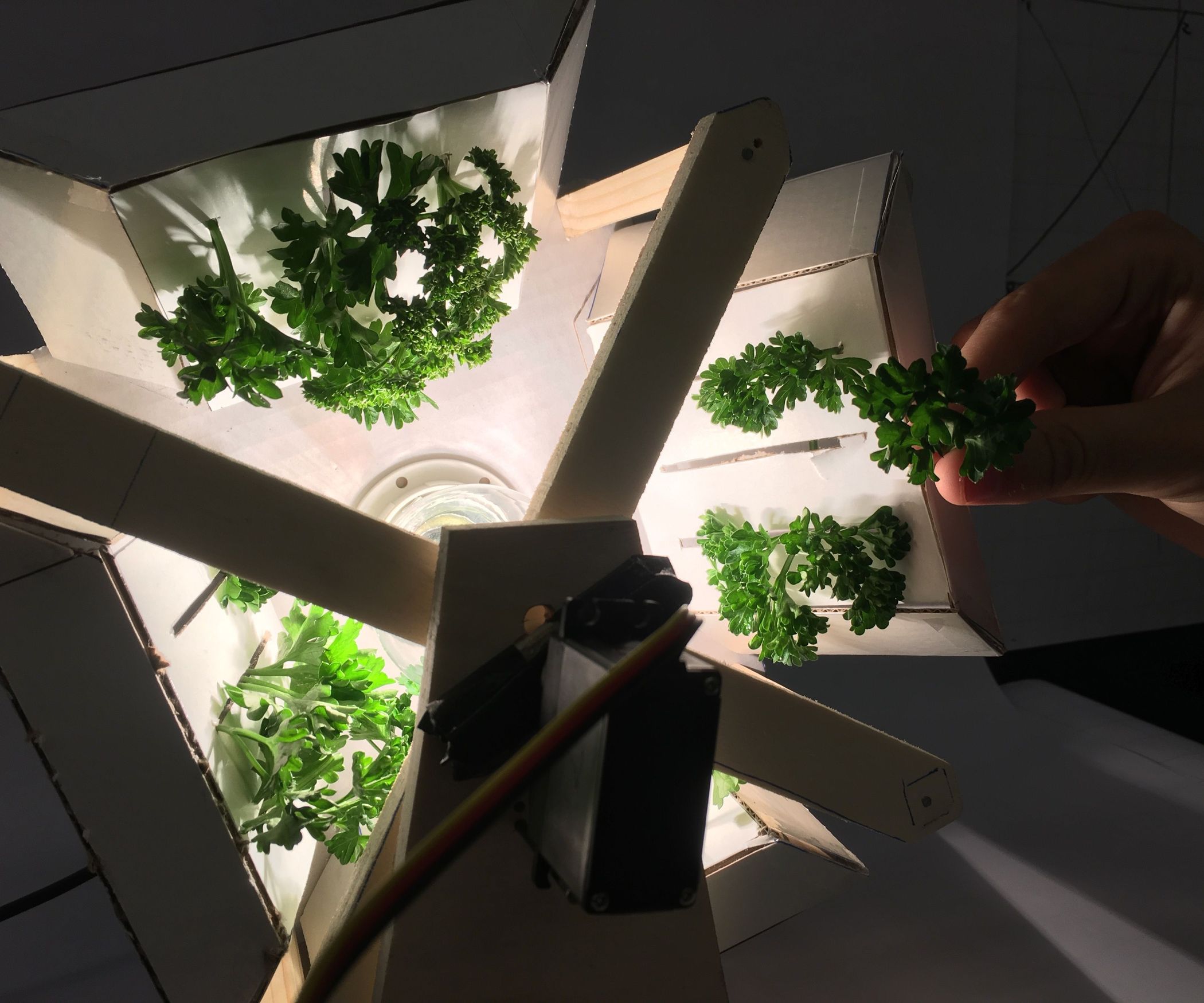 DIY Rotary Garden (TfCD) : 12 Steps (with Pictures) - Instructables
