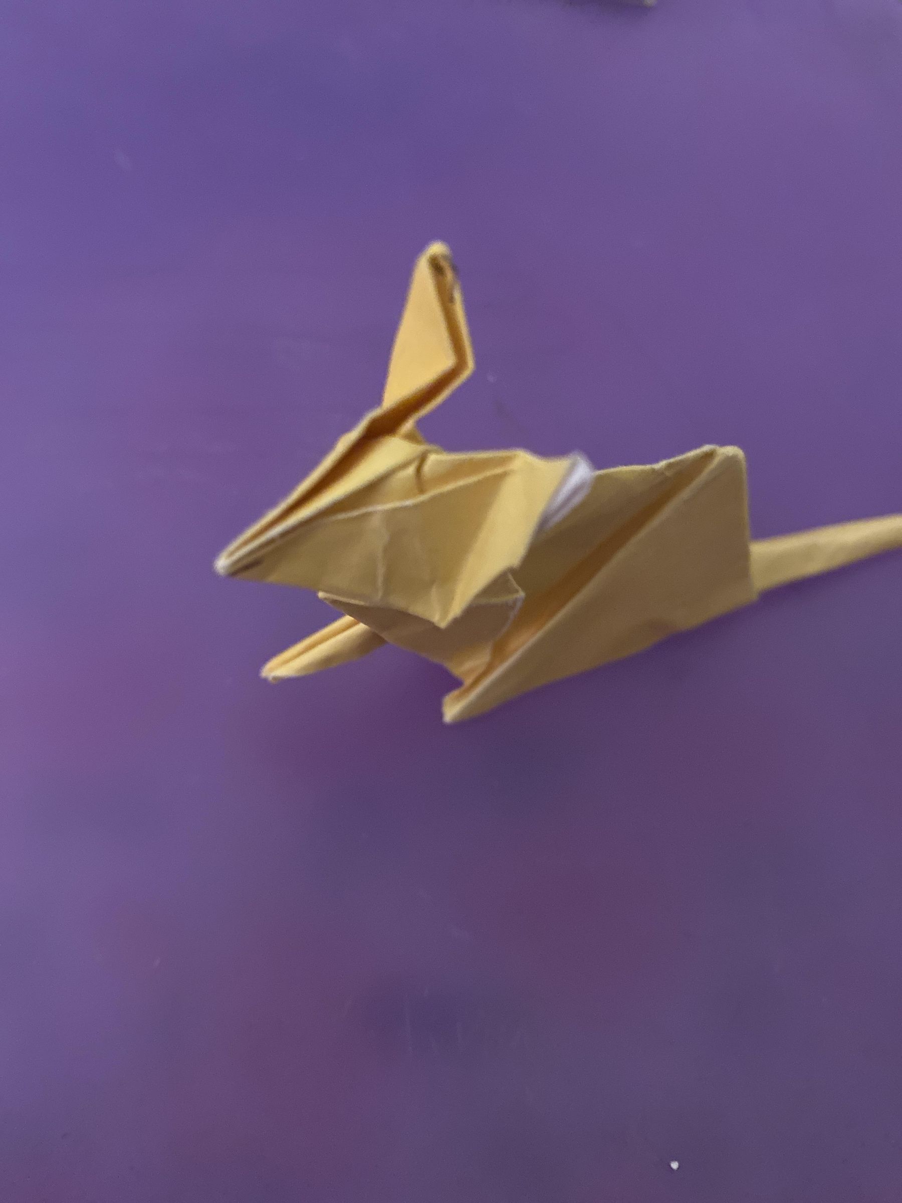 Origami Rat : 27 Steps - Instructables