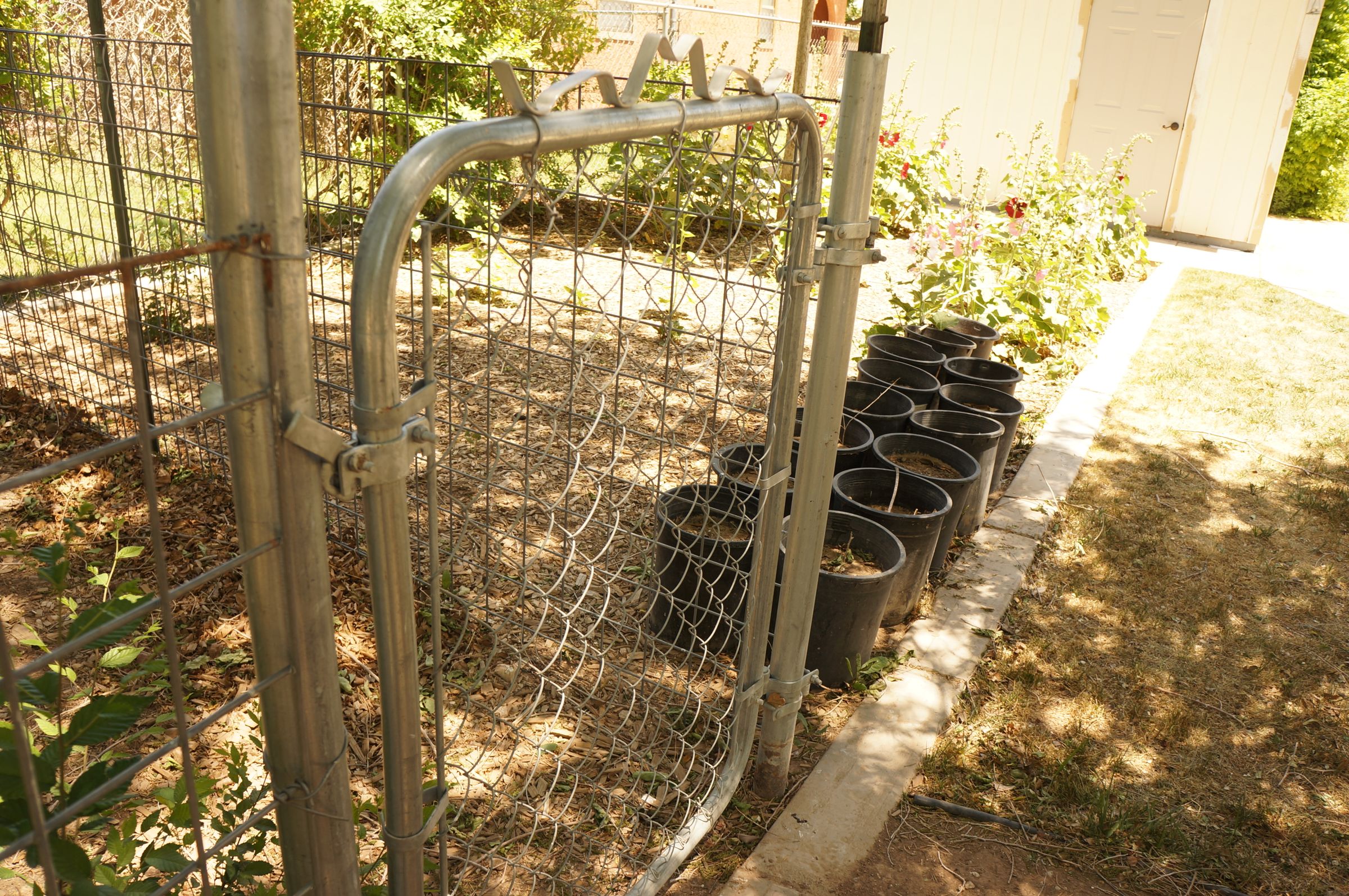 Cheap Easy Dog Run to Build : 6 Steps - Instructables