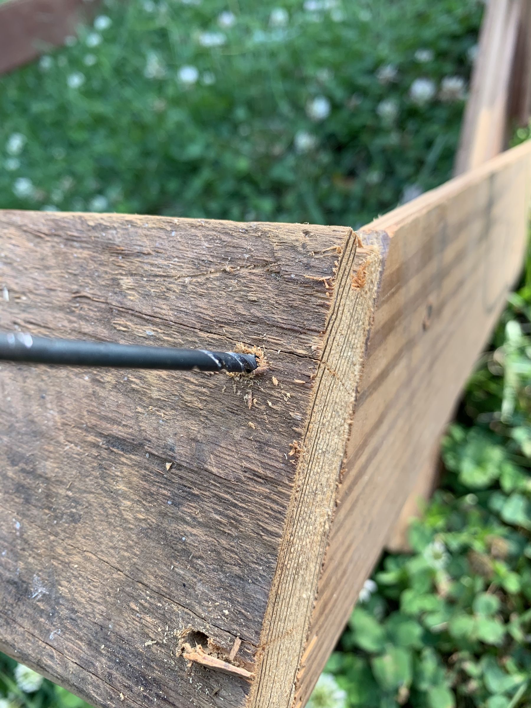 Chicken Playground : 20 Steps (with Pictures) - Instructables