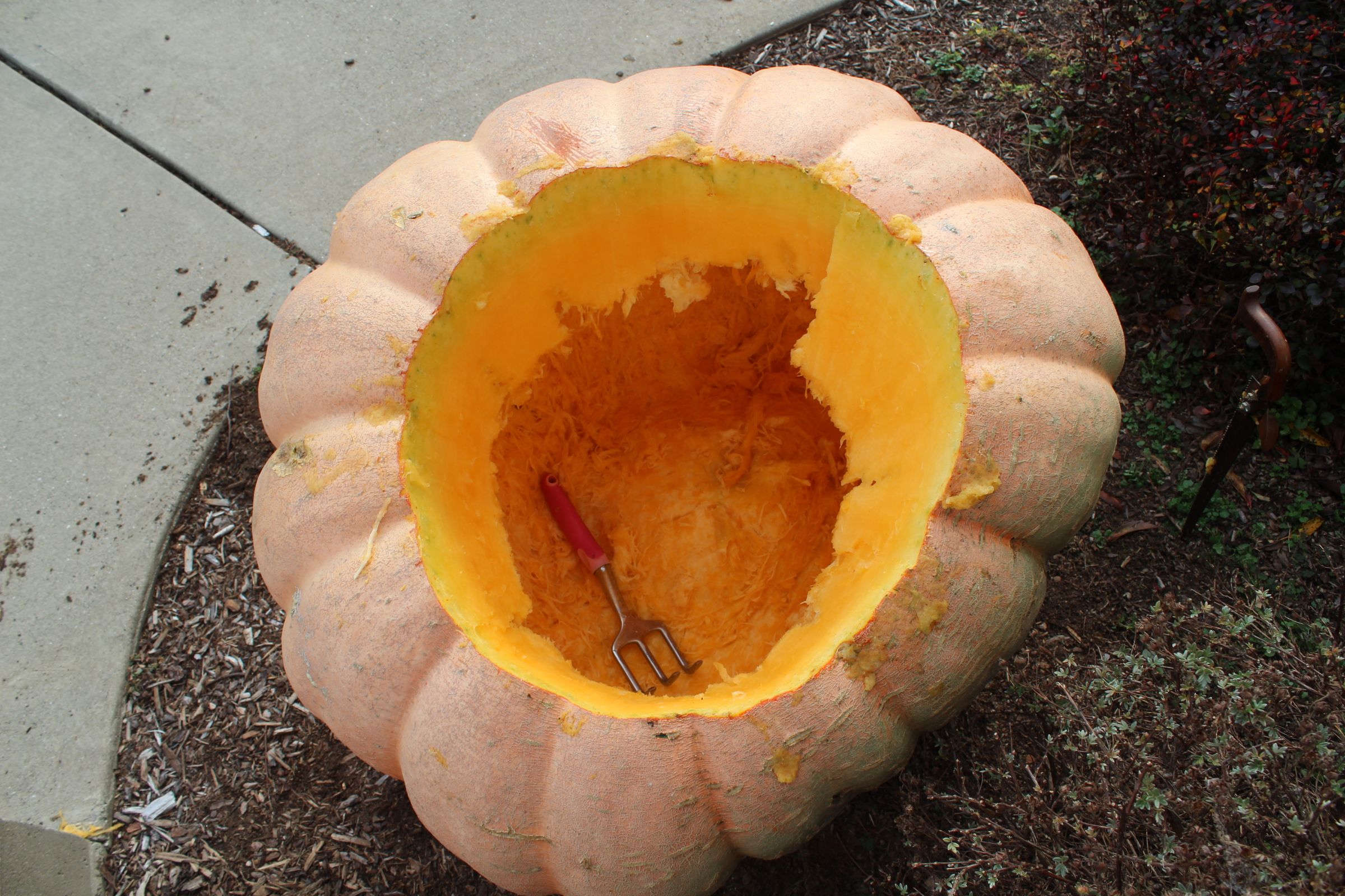 Giant Pumpkins Make Giant Jack O Lanterns : 9 Steps (with Pictures ...