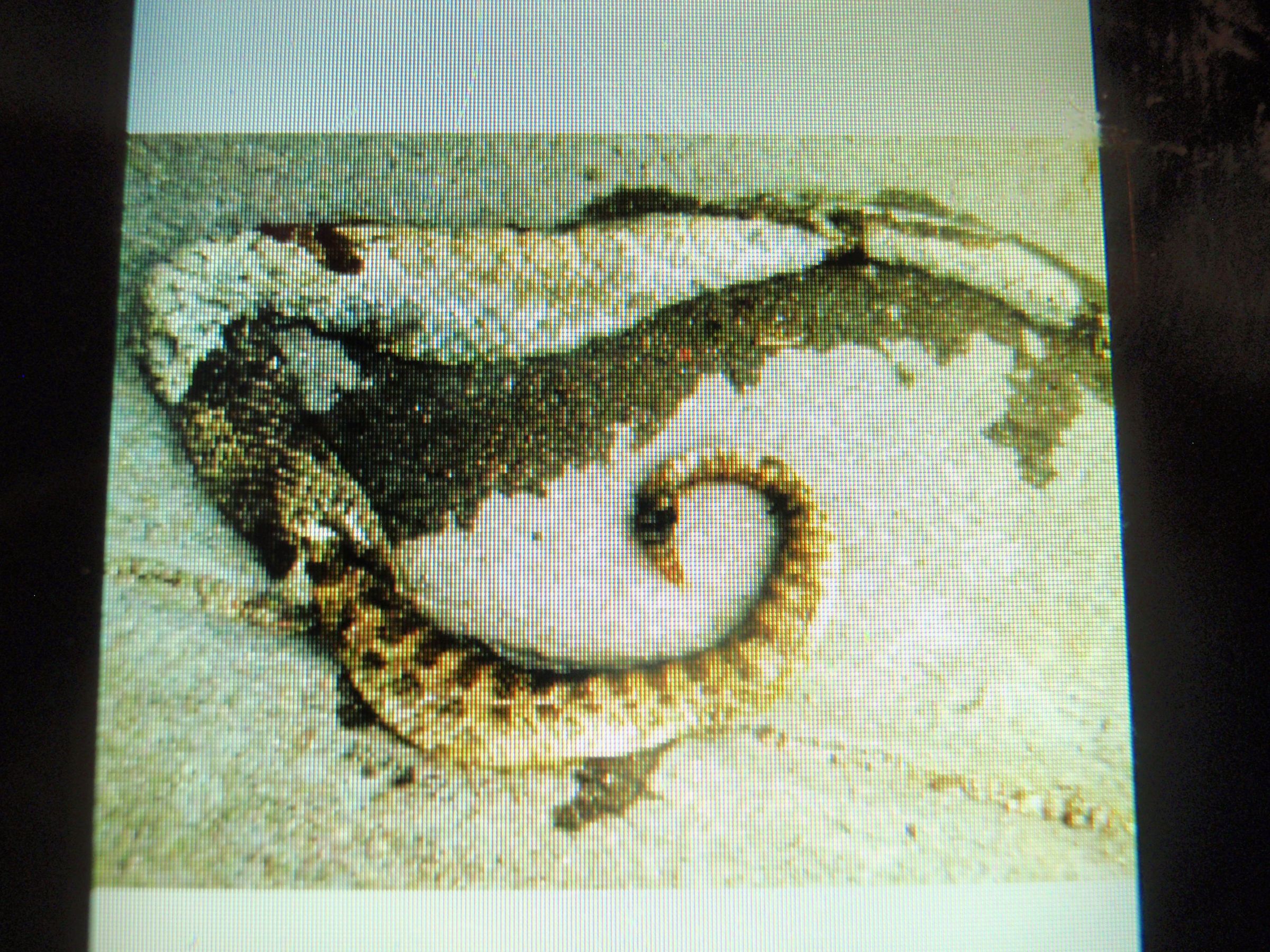 Exploring the Storm Water Drain System : 10 Steps - Instructables