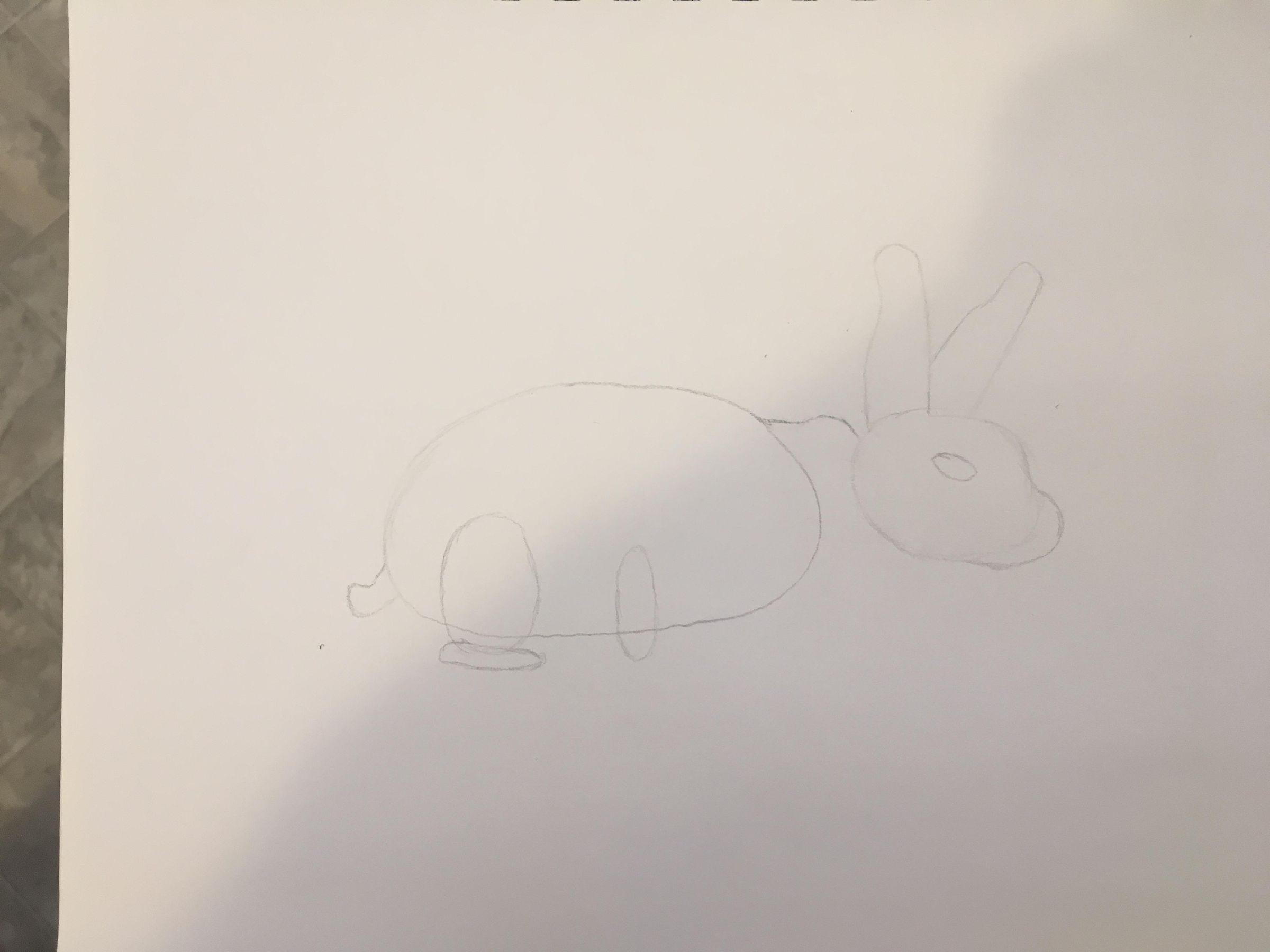 How to Draw a Realistic Bunny (standing) : 26 Steps - Instructables