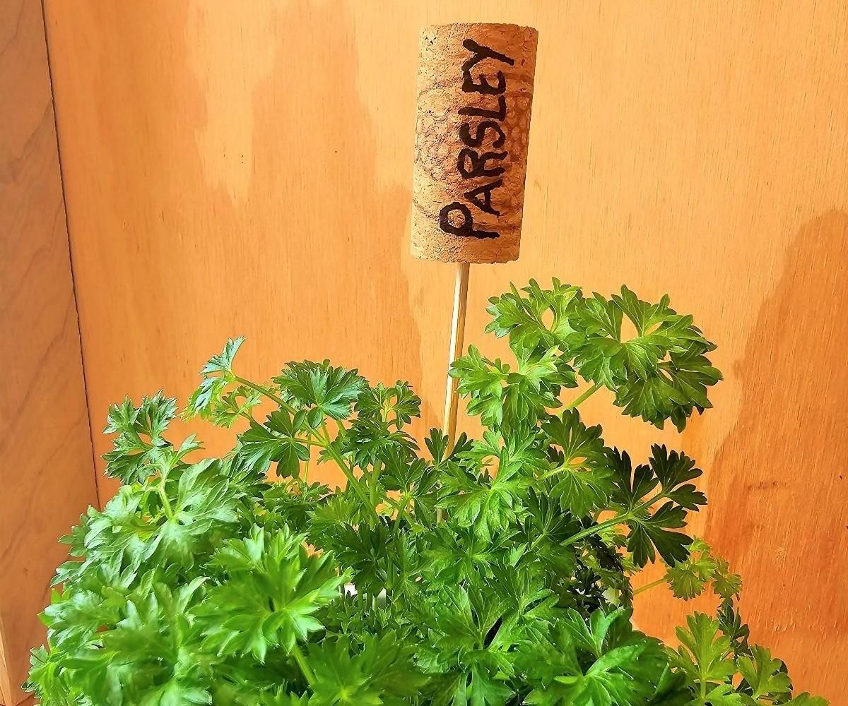 Cork Plant Labels : 4 Steps (with Pictures) - Instructables