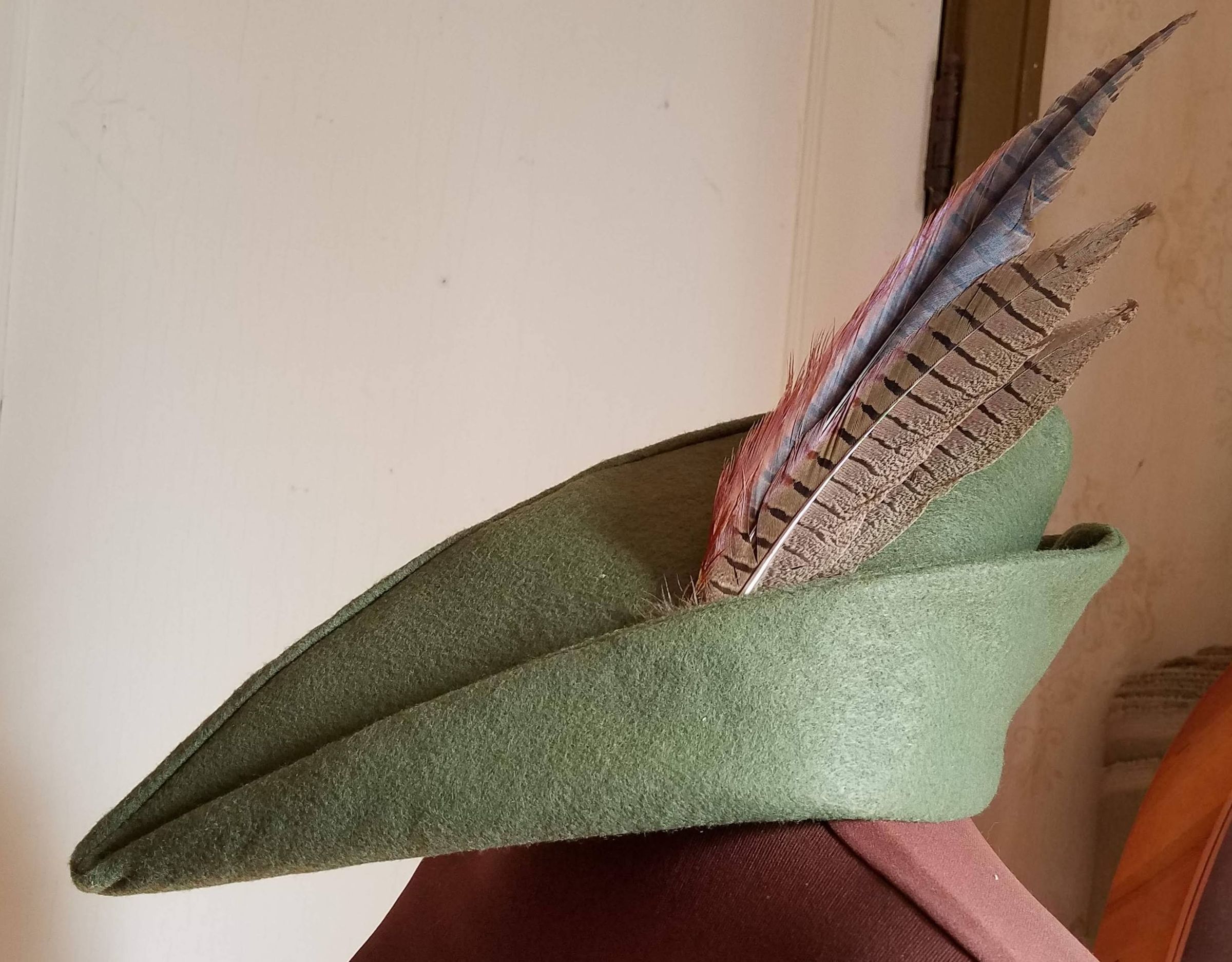 Robin Hood Costume : 6 Steps (with Pictures) - Instructables