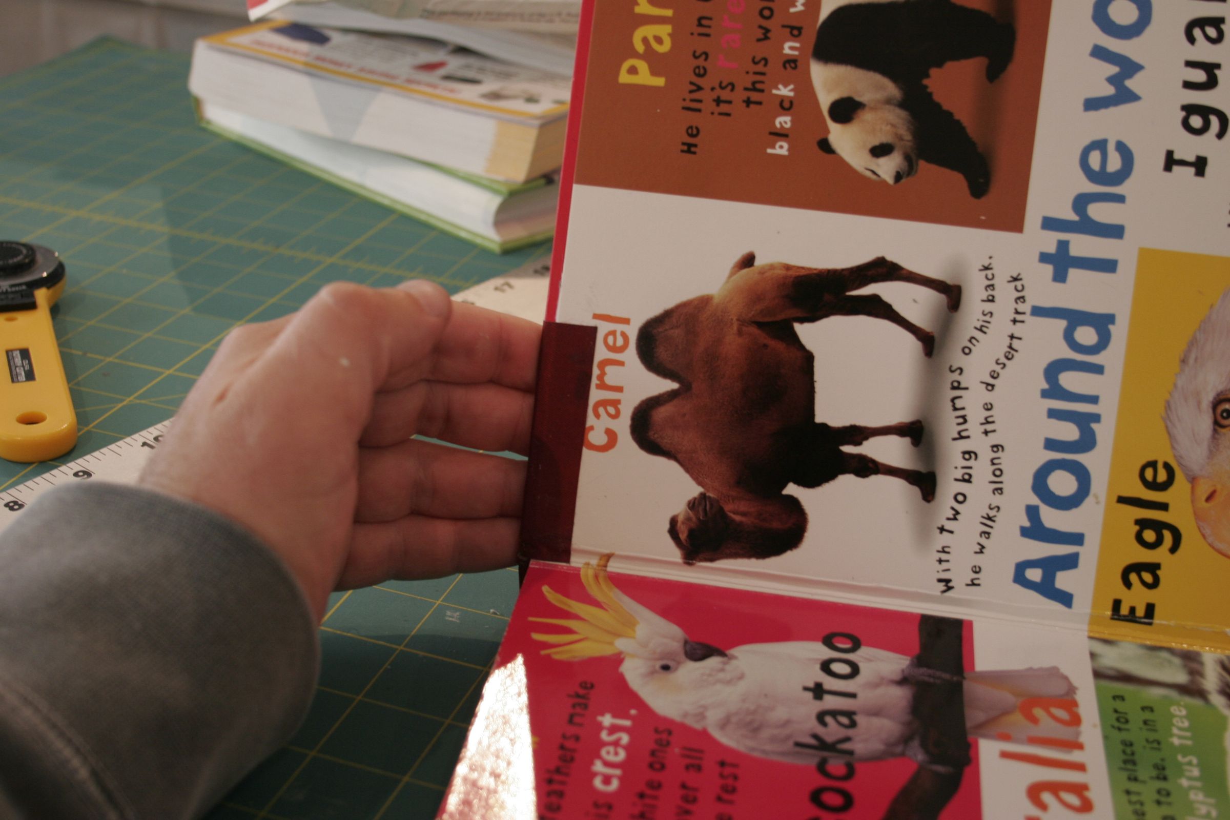 Simple Book Repair : 5 Steps (with Pictures) - Instructables