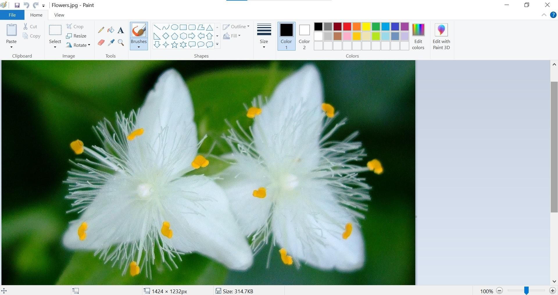 Microsoft Paint: Simple Picture Modification - Instructables