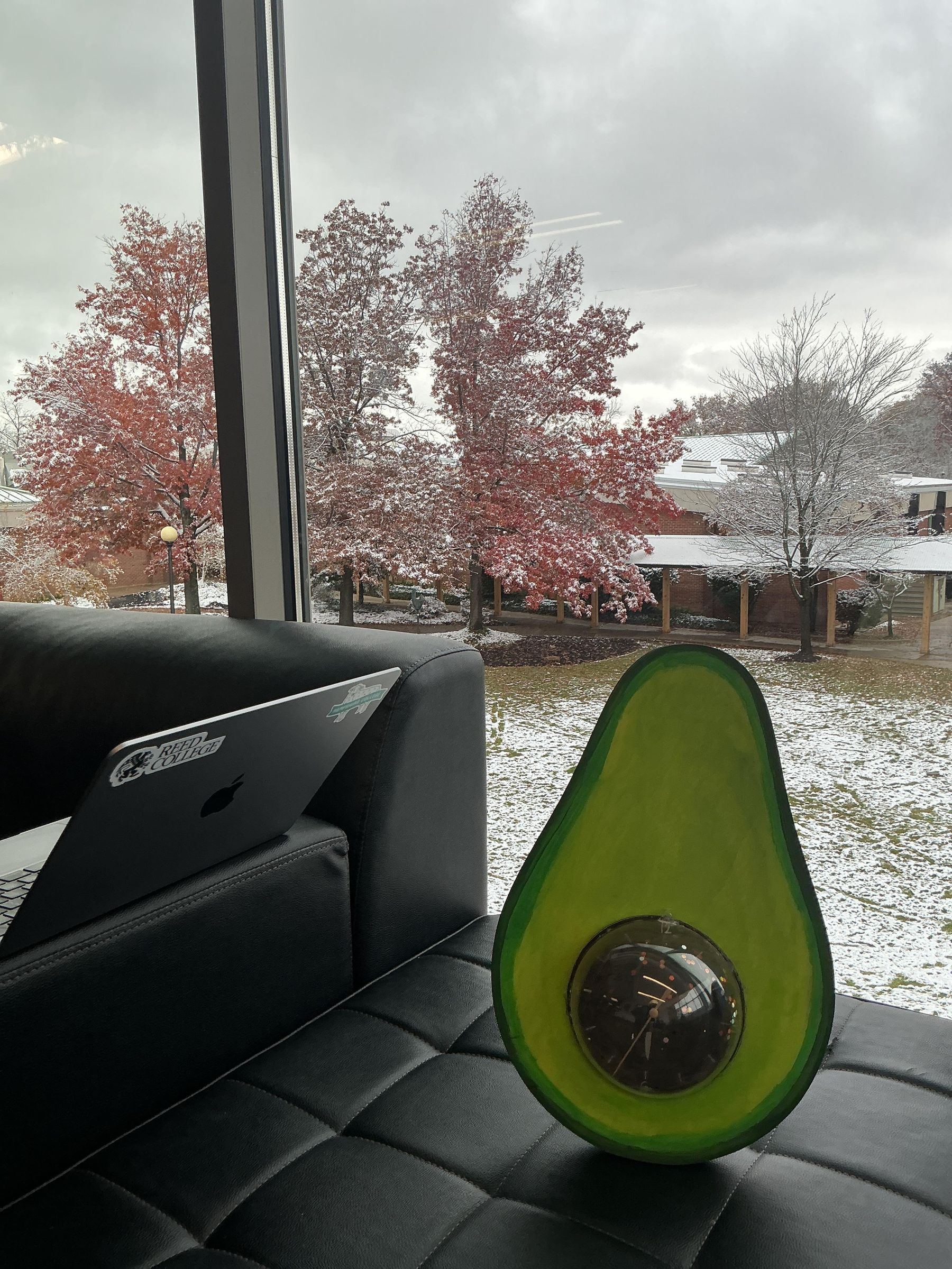 Avocado Clock : 5 Steps (with Pictures) - Instructables
