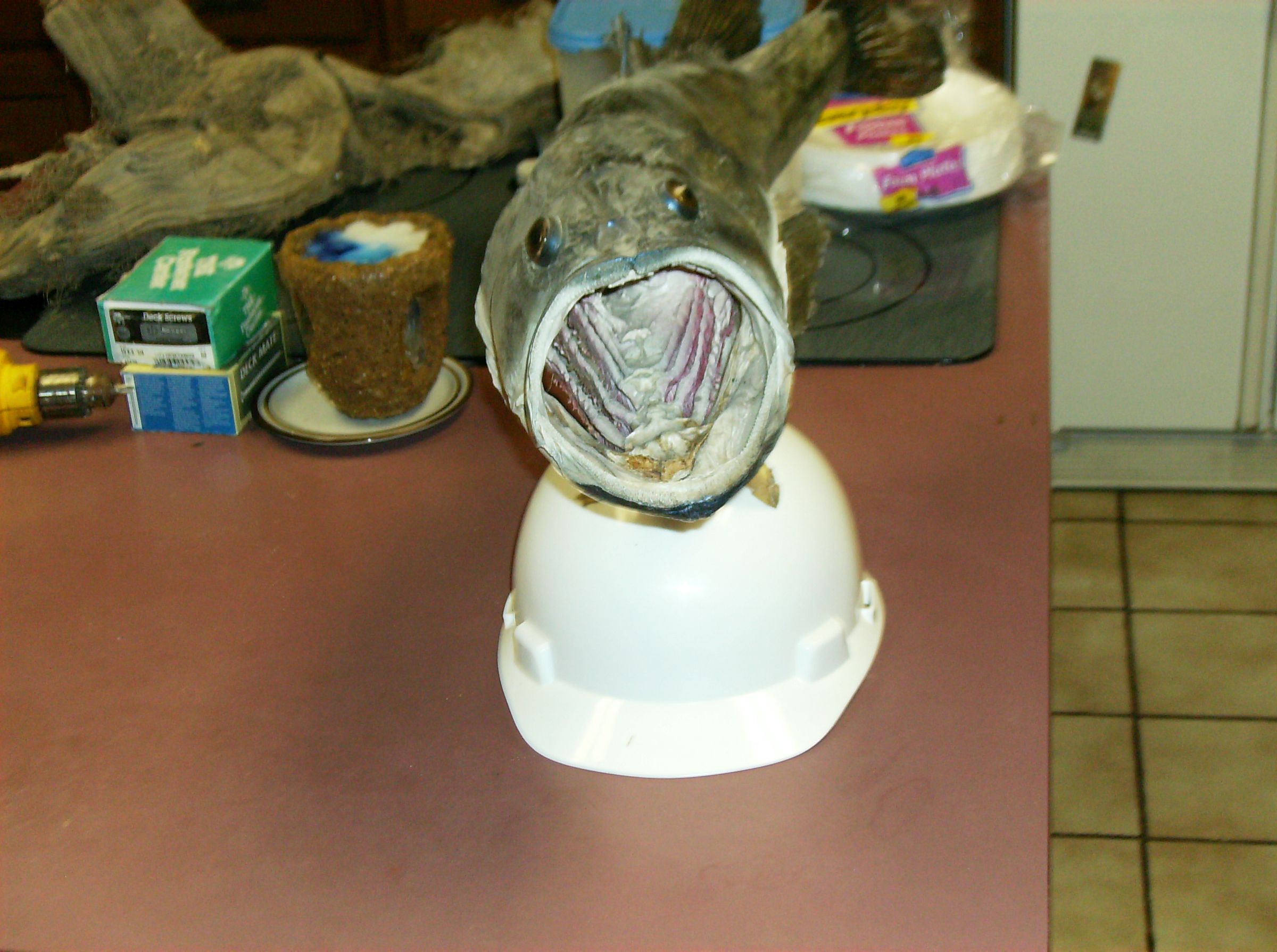 The Taxidermied Fish Helmet! : 5 Steps (with Pictures) - Instructables