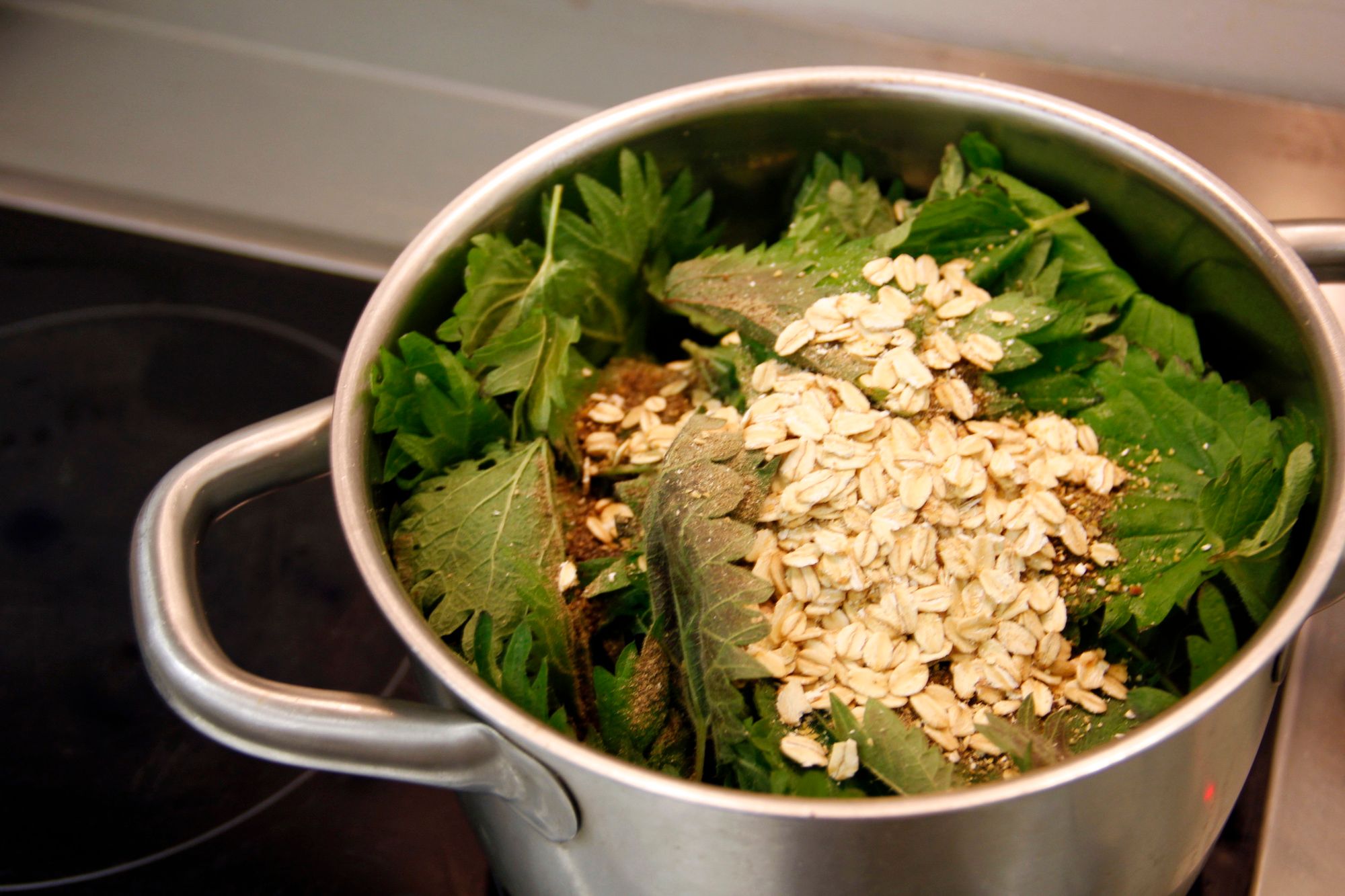 The Penultimate Nettle Guide : 11 Steps (with Pictures) - Instructables