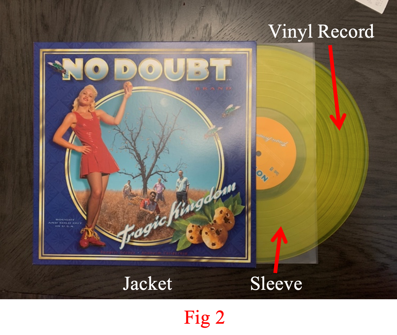 How to Play and Store a New Vinyl Record : 22 Steps (with Pictures ...