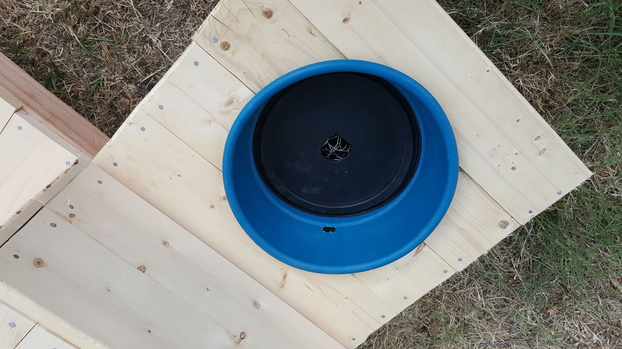 Outdoor Dog Platform With Water Fountain : 3 Steps (with Pictures ...