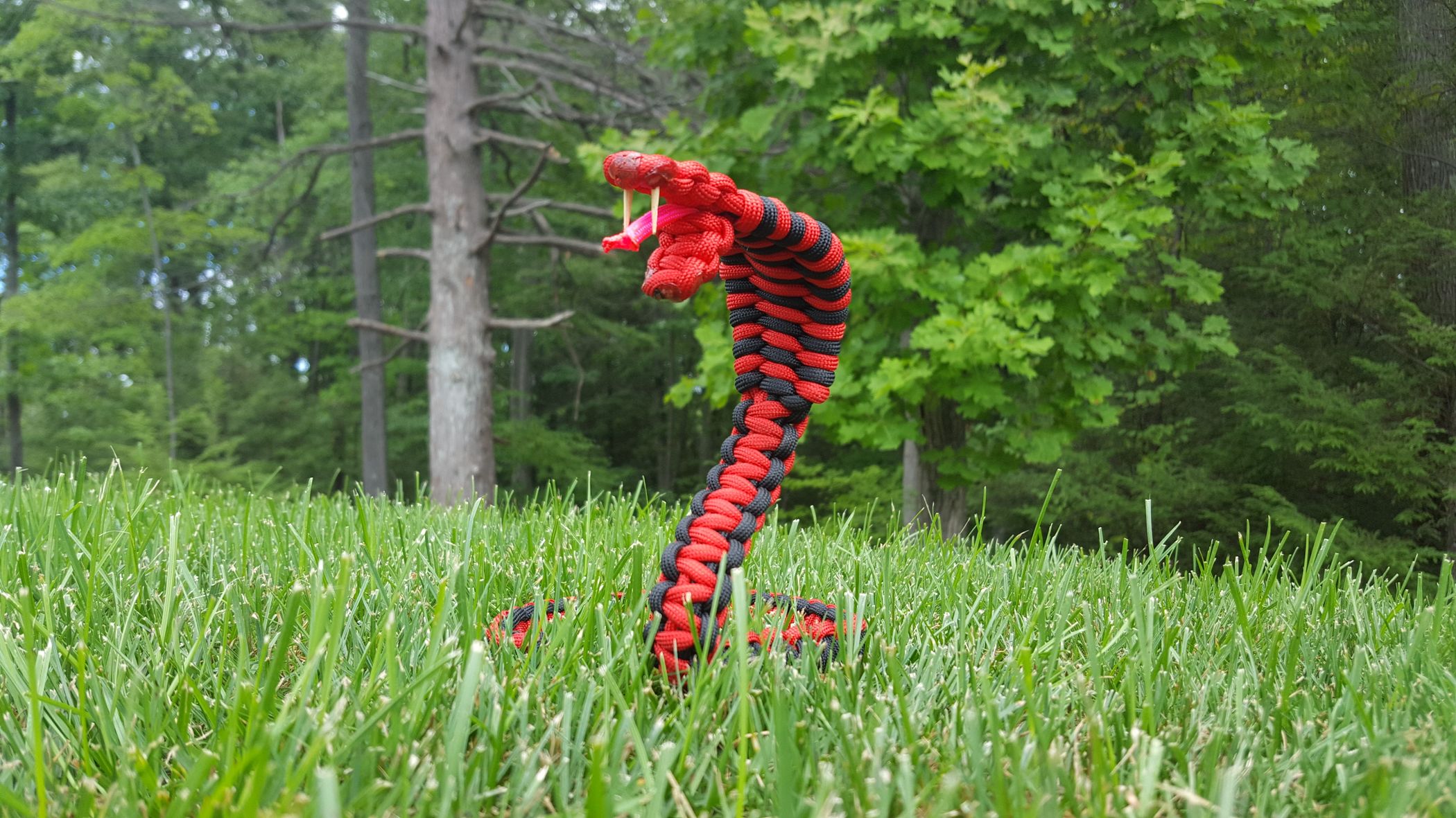 Paracord Snake : 10 Steps (with Pictures) - Instructables