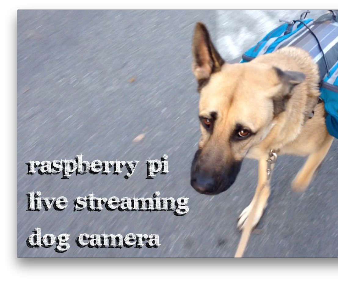 Dog Wearables (Live Streaming Dog Camera) : 6 Steps (with Pictures ...