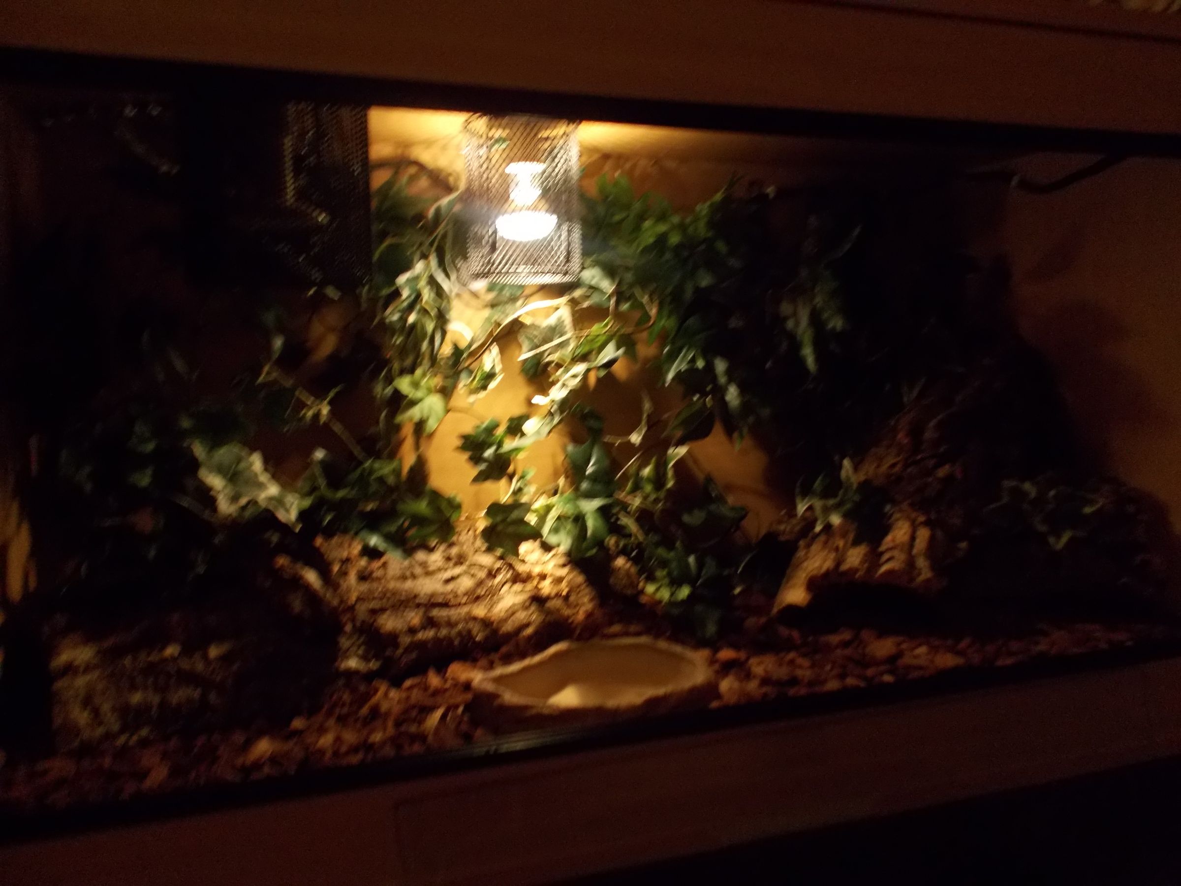 How to Setup a Snake Viv : 13 Steps - Instructables