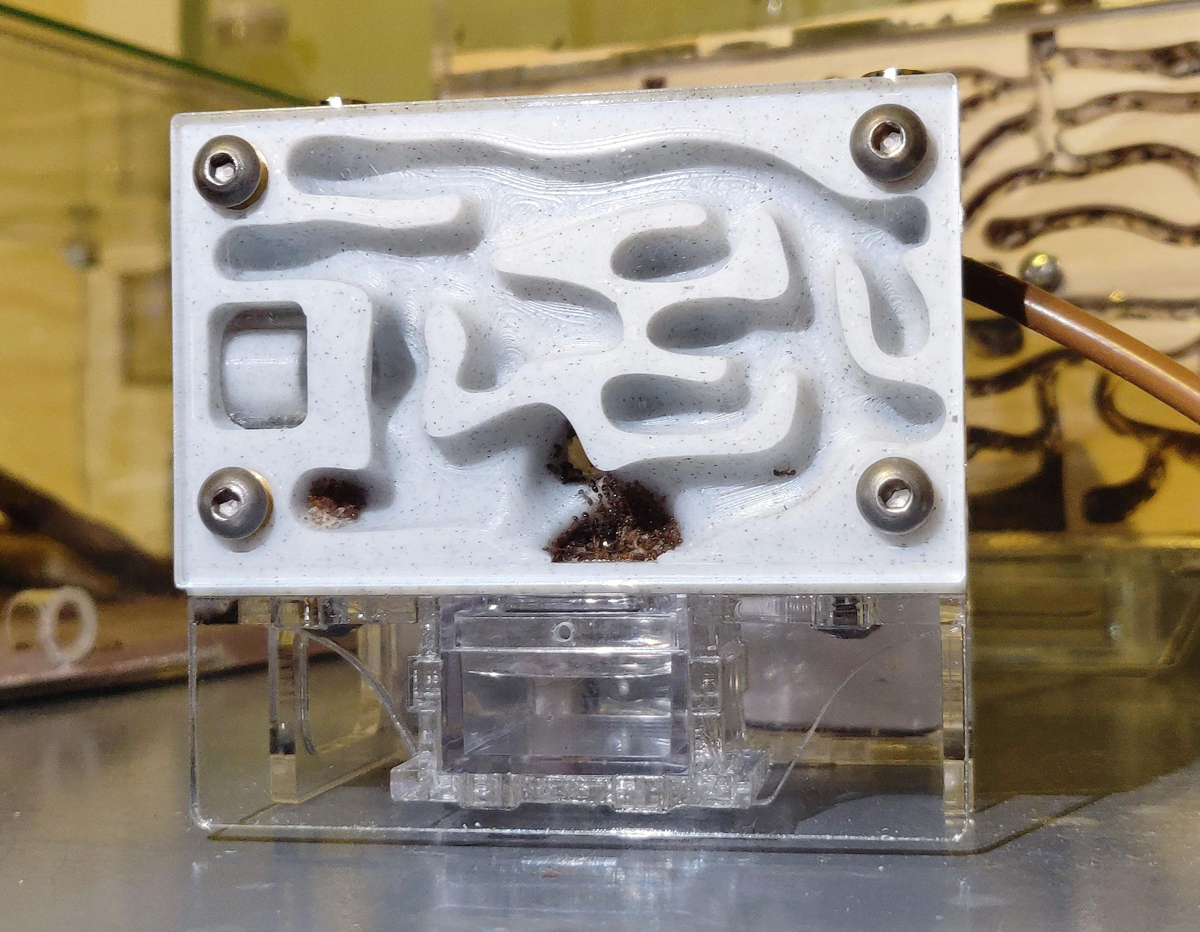 Small Modular Formicarium (Ant Farm) : 16 Steps (with Pictures ...