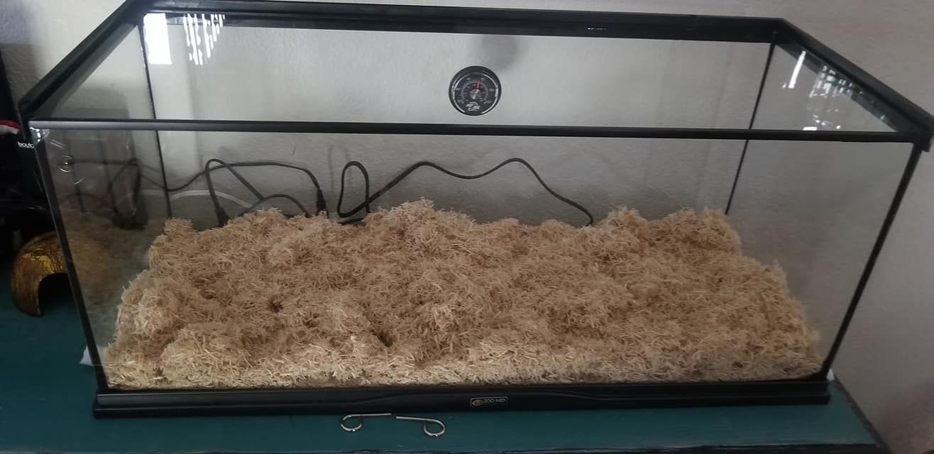 Easy Snake Enclosure Set-Up : 3 Steps - Instructables