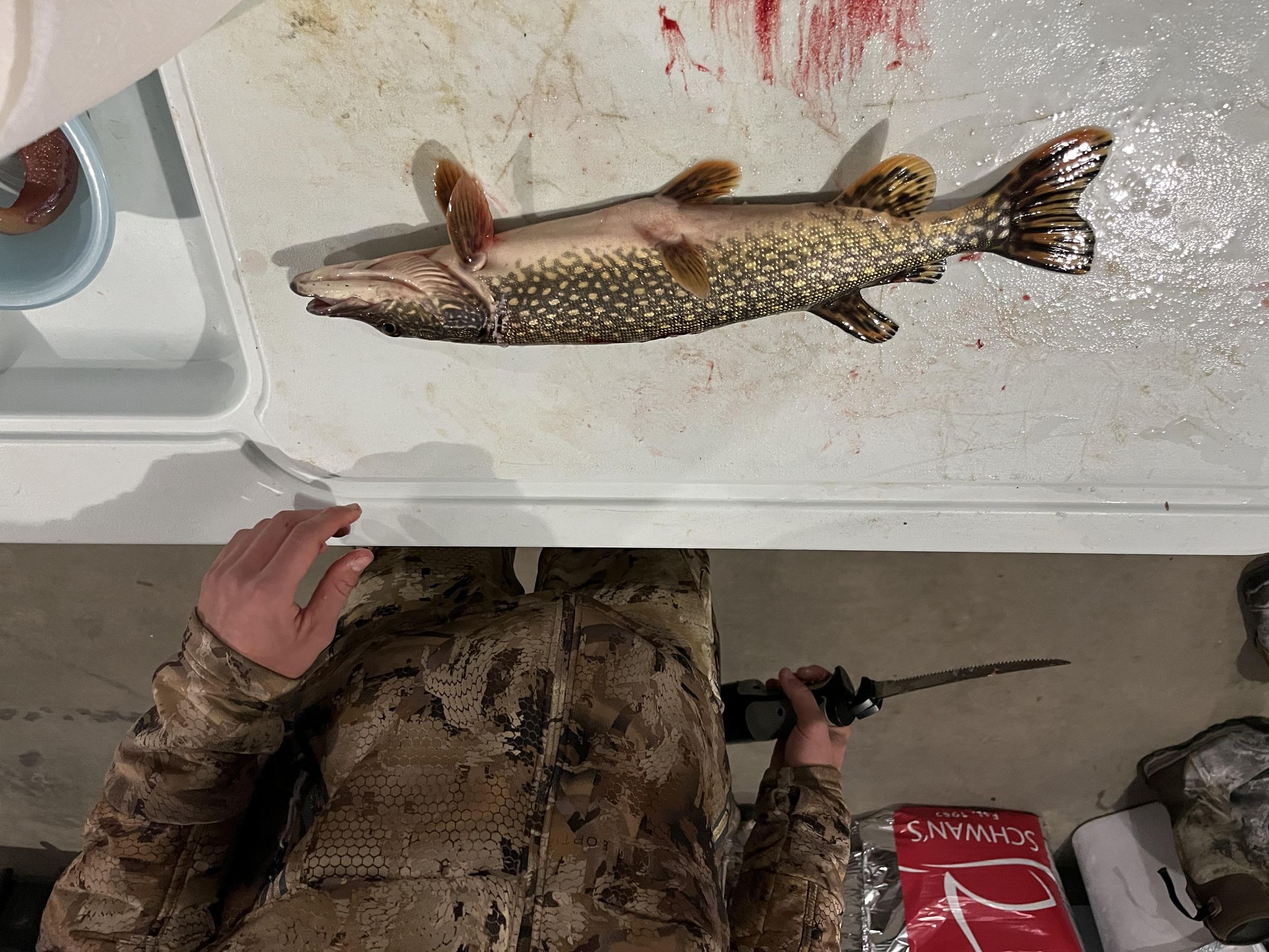 How to Filet a Fish : 7 Steps - Instructables