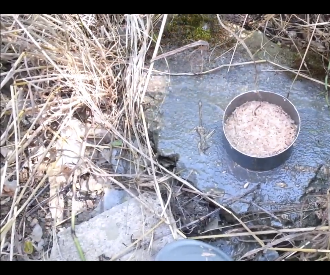 How to Open Food Cans Without a Can Opener - Instructables